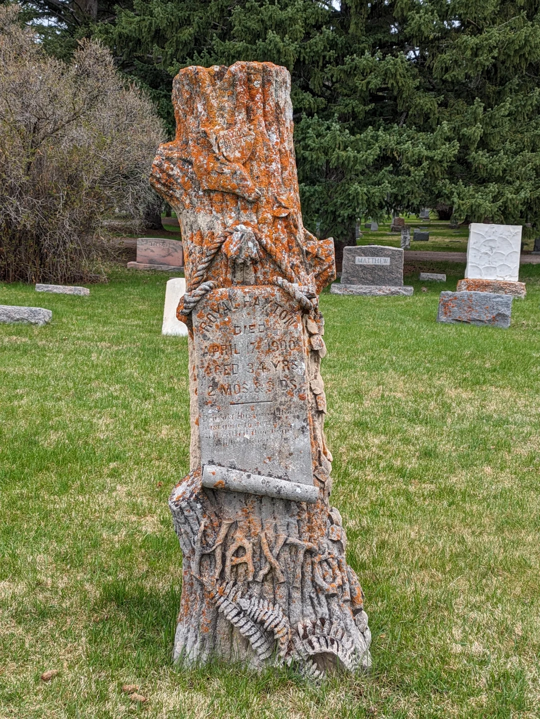 Tree stump gravestone | Scrolller