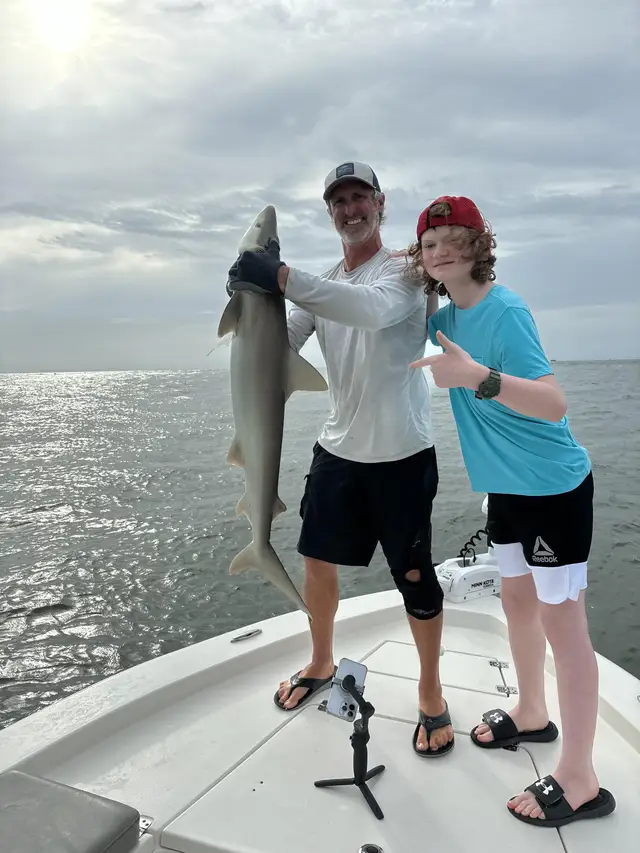 Caught a shark while fishing. | Scrolller