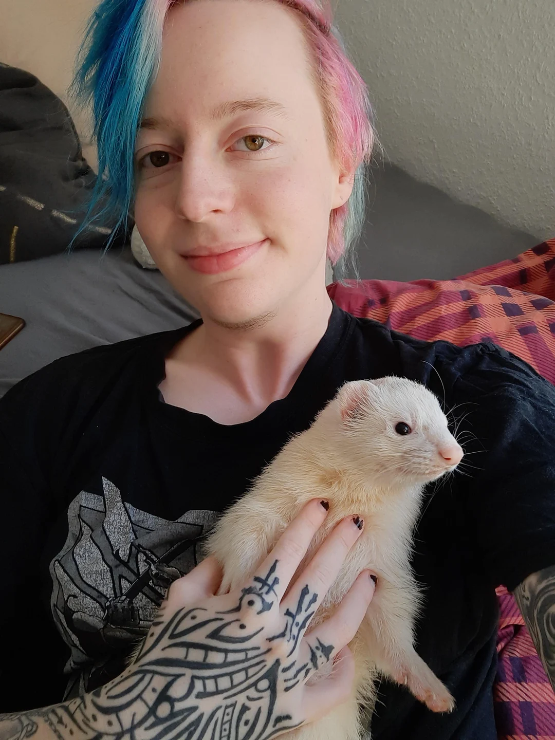 cuddly little vampire rat | Scrolller