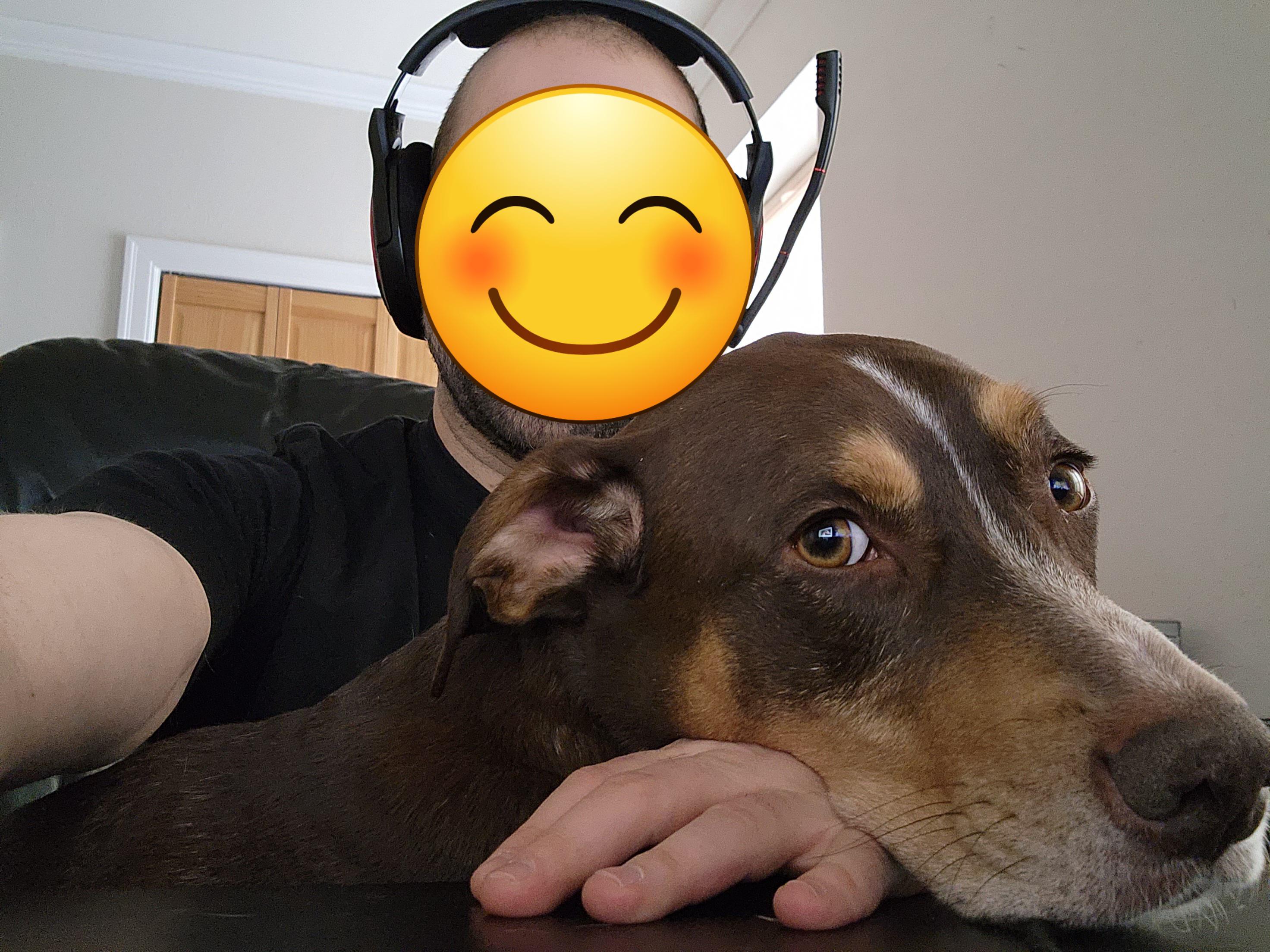 [OC] Lunchbreak Copilot | Scrolller