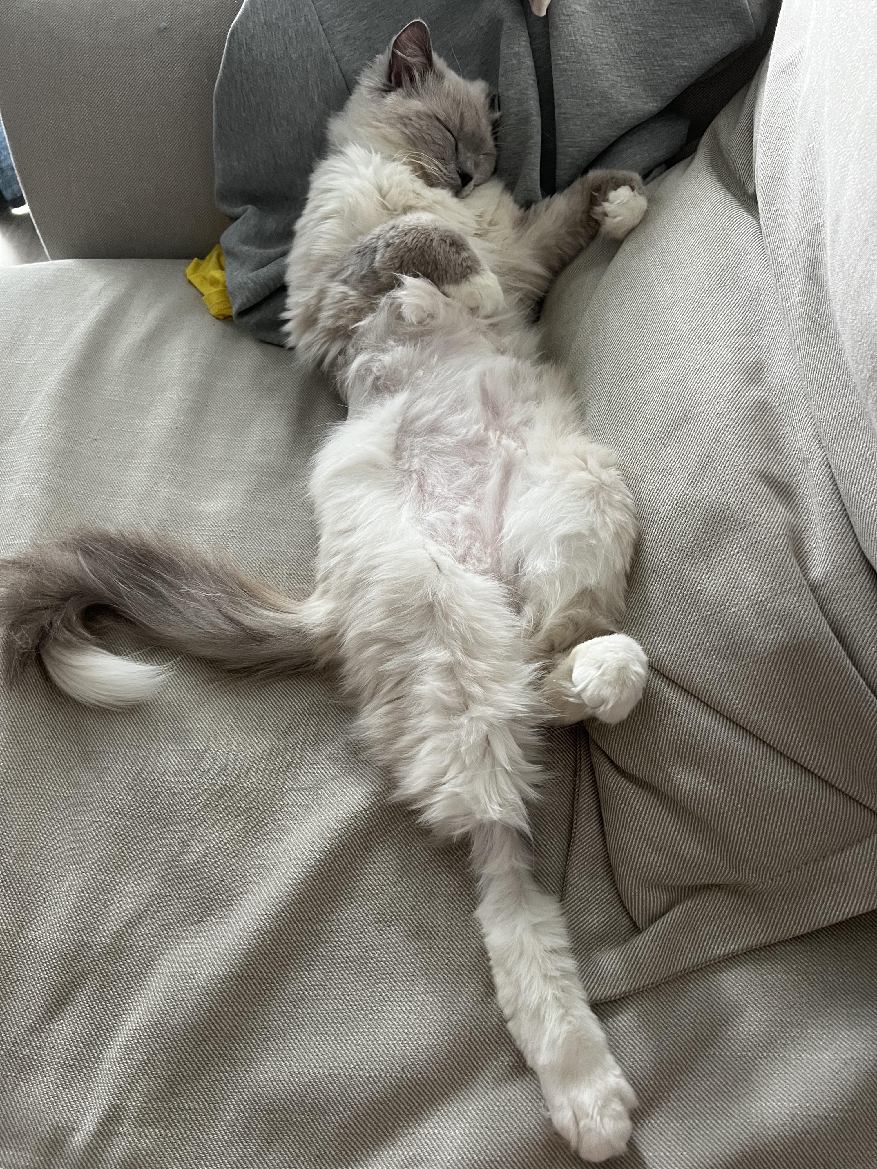 Goodnight [OC] | Scrolller