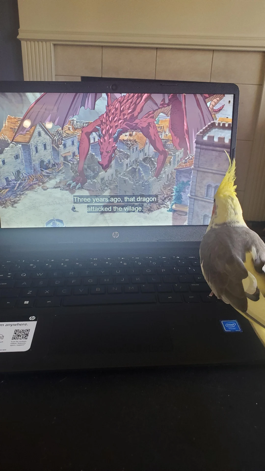 Sunny got hooked into Frieren | Scrolller