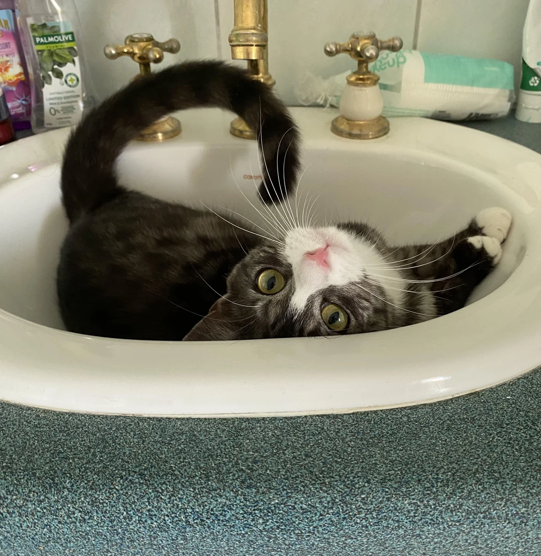 This is my water loving puppy, Ruby | Scrolller