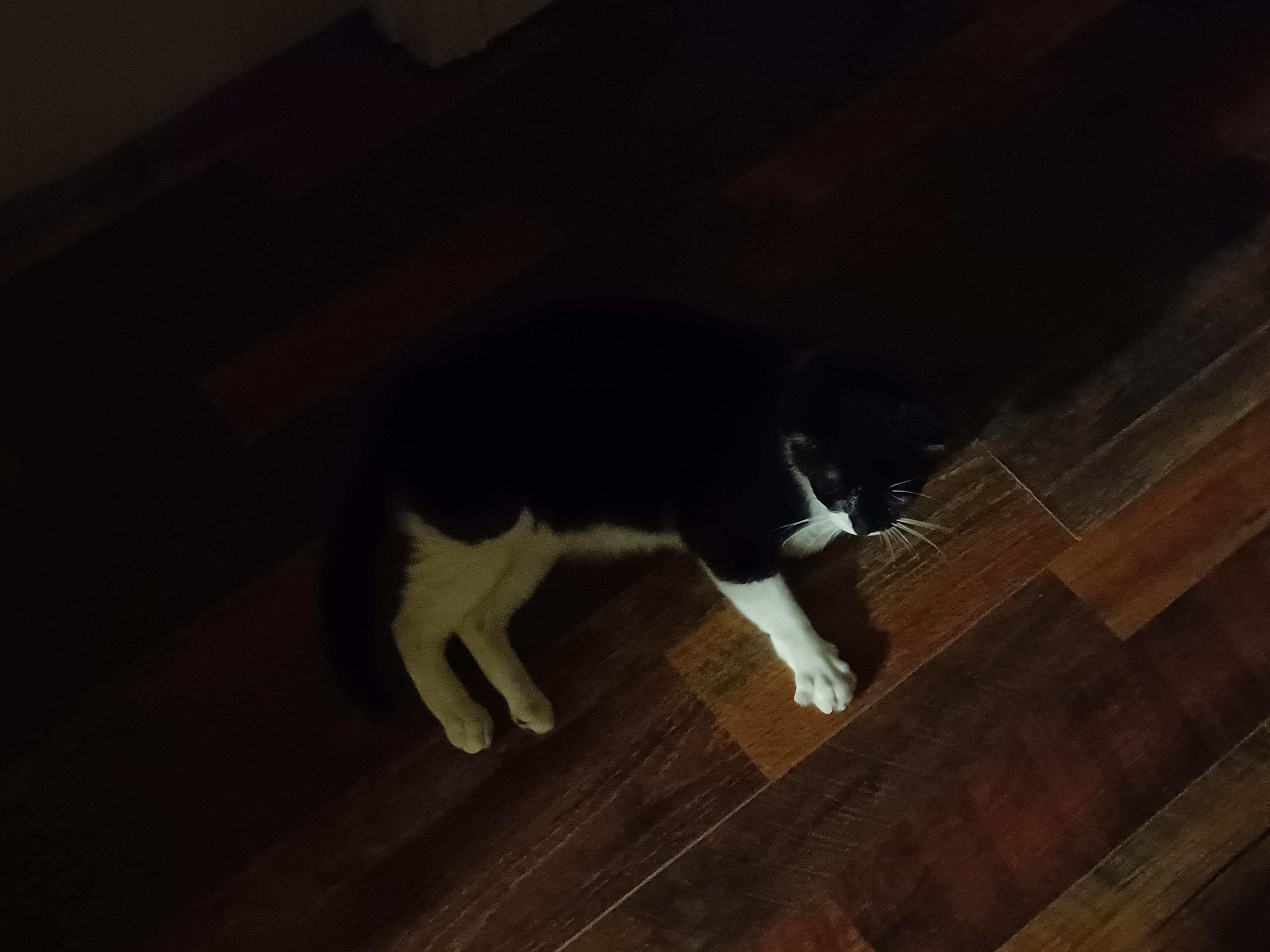 Half void | Scrolller