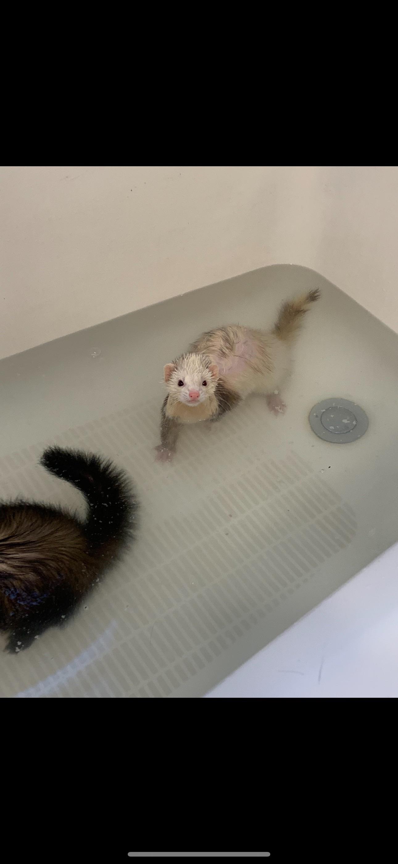 My baby all grown up p3 | Scrolller