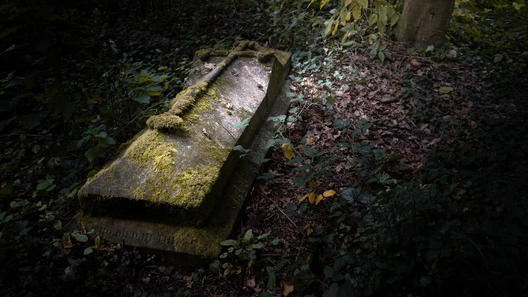 Abandoned graveyard UK | Scrolller