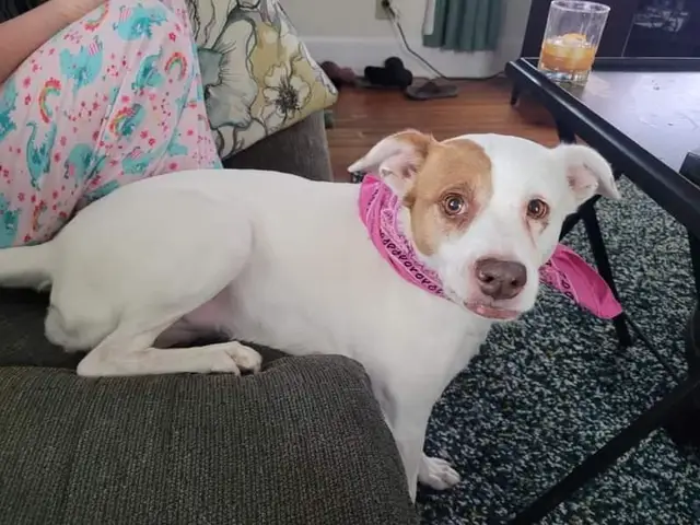 Macaroni got stuck😕 | Scrolller