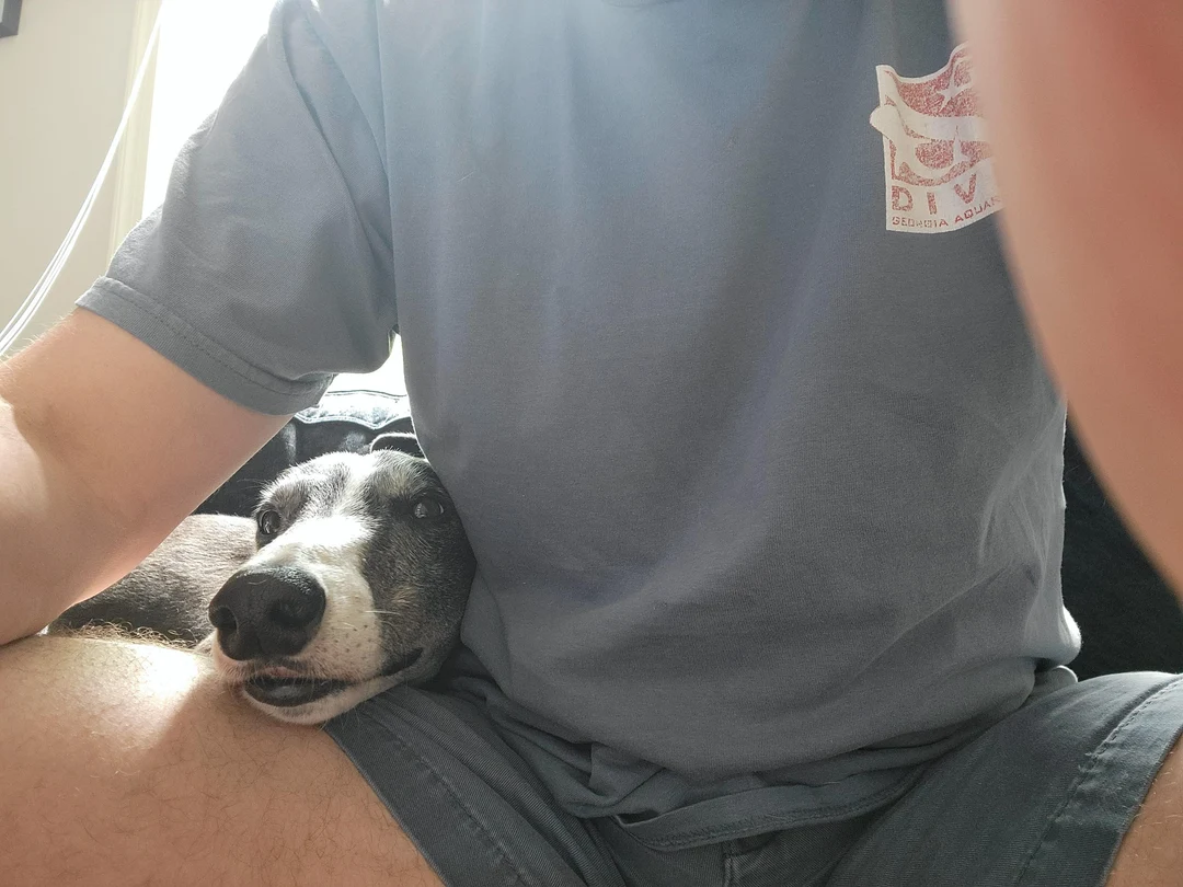 Does anyone else have this problem? | Scrolller