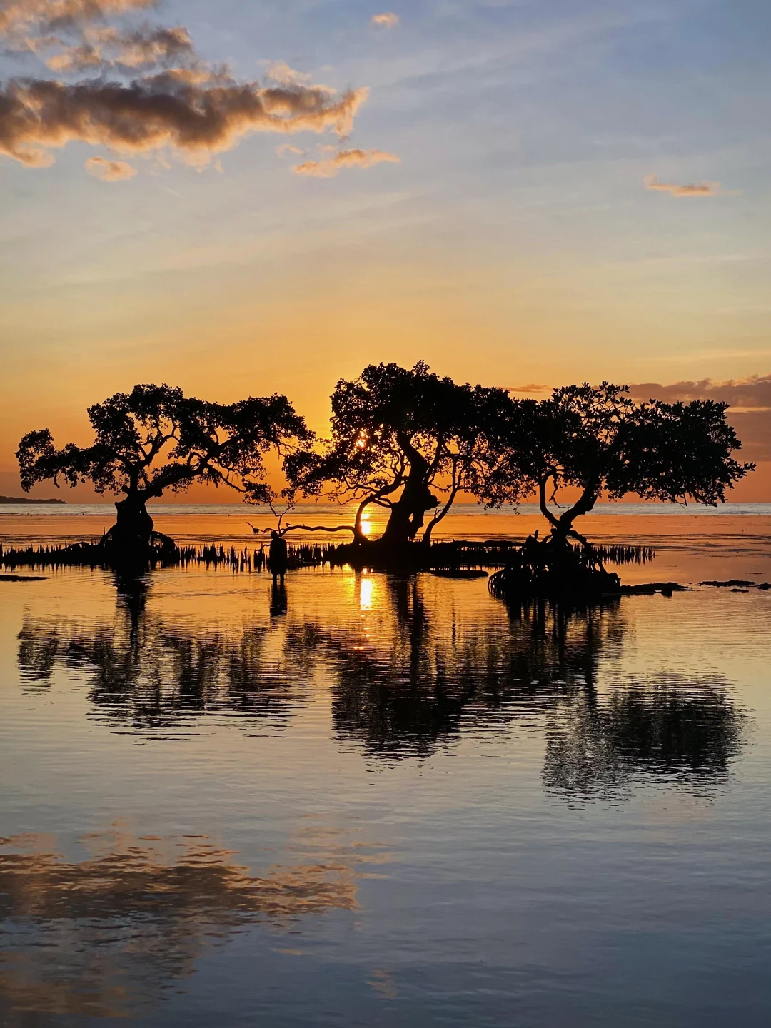 Eastern Sunset | Scrolller