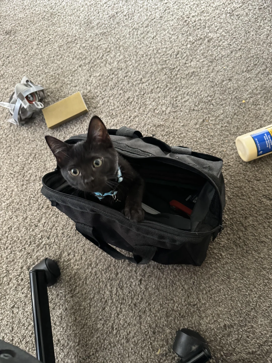 New addition to the tool bag! | Scrolller