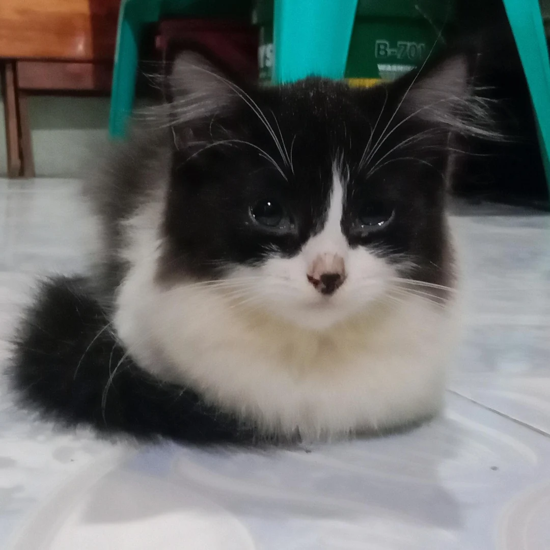 Close up loaf | Scrolller