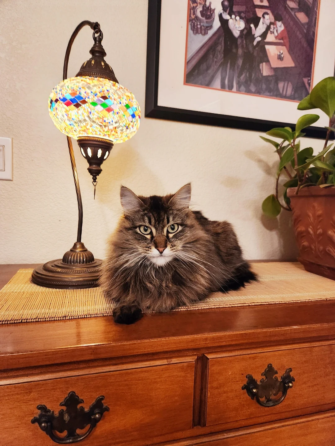 Mr. Majestic | Scrolller