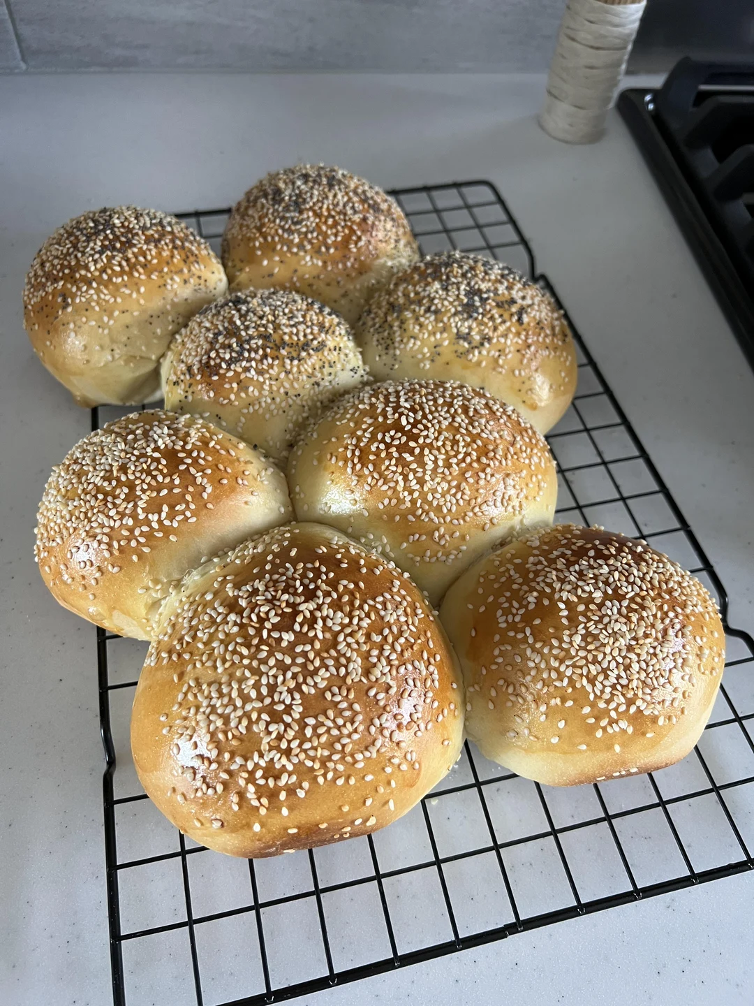 Burger buns | Scrolller