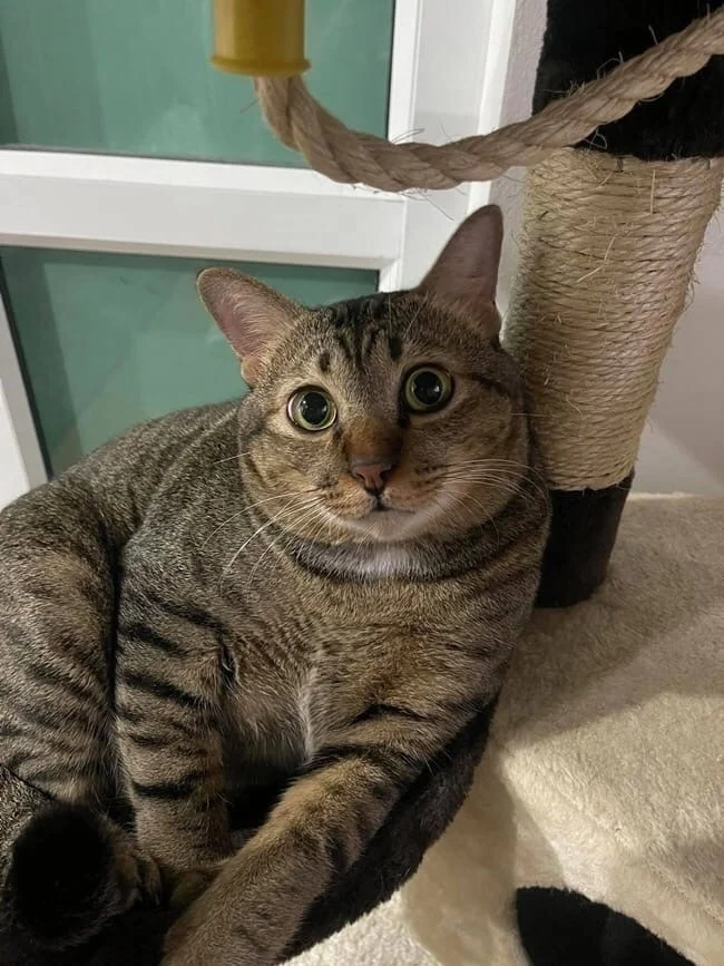 Charming. | Scrolller