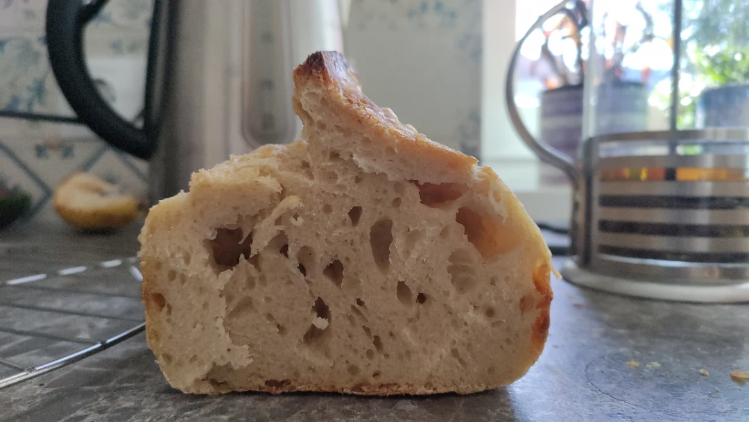 Please help with crumb/rise | Scrolller