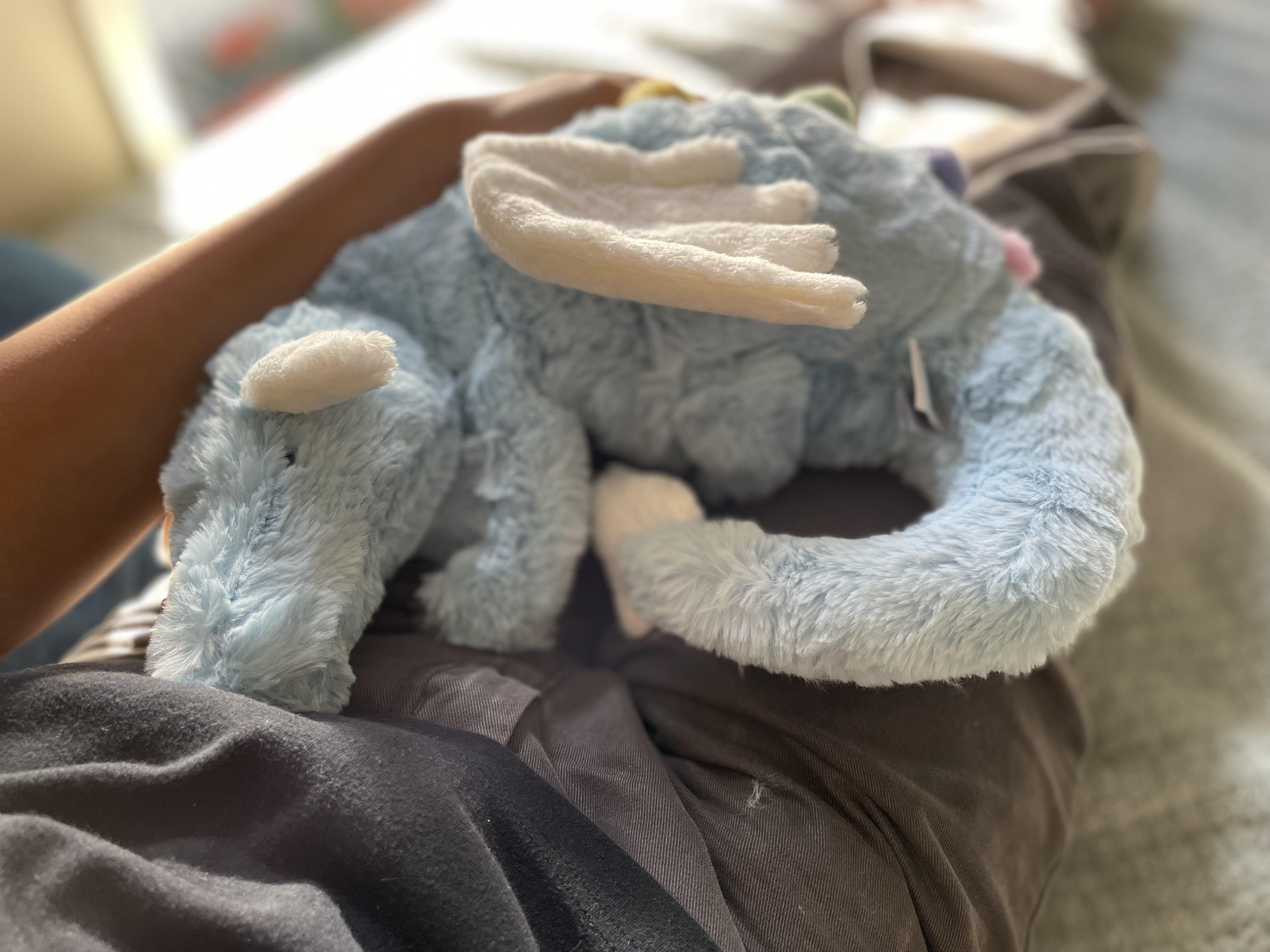 Meet Iris! | Scrolller