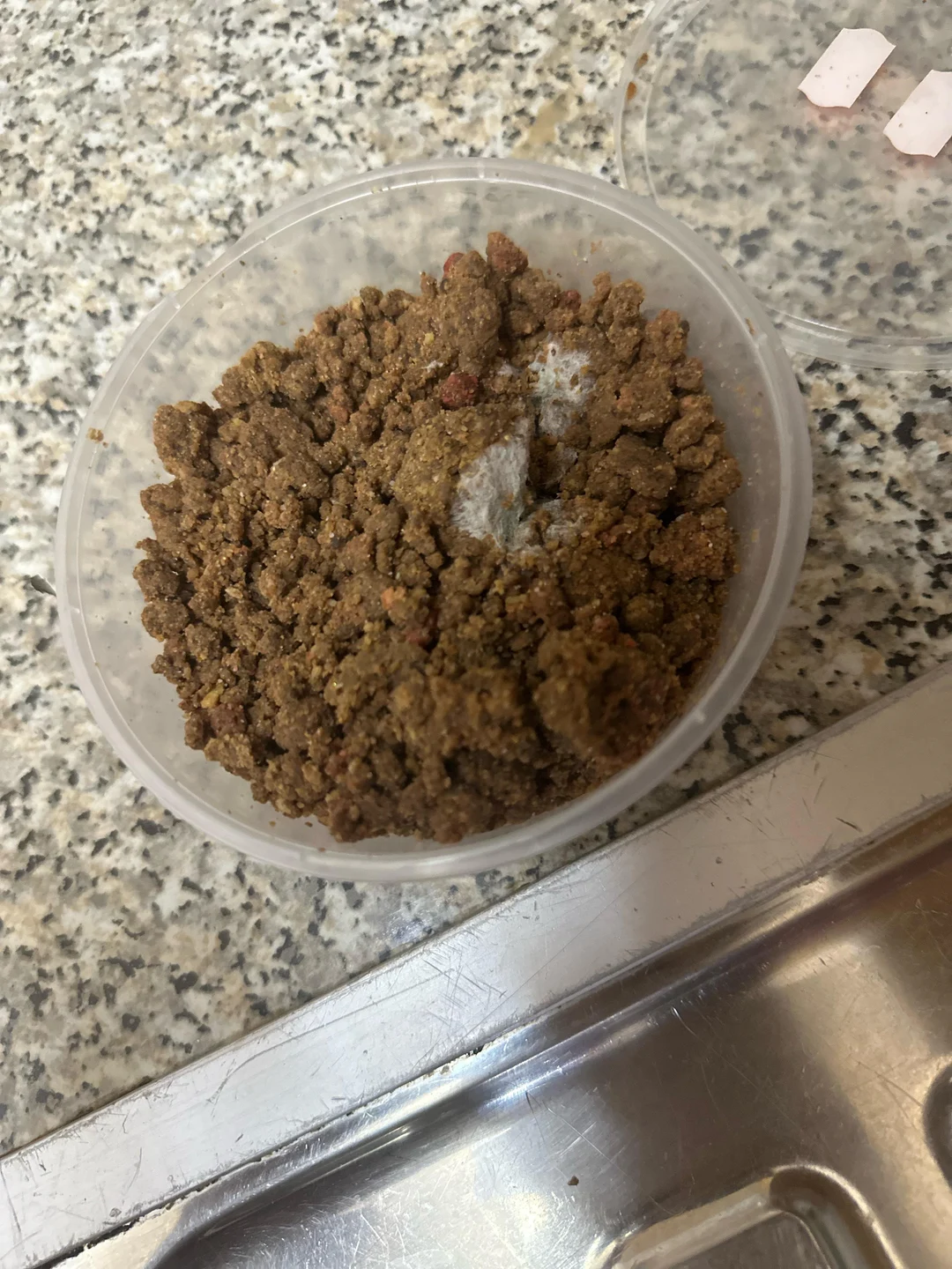 My paste created mold | Scrolller