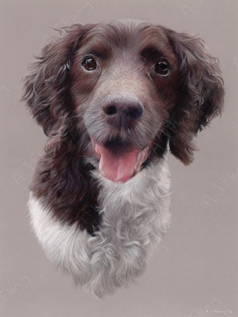 "Barney", Alex Fleming, pastels, 2021 | Scrolller