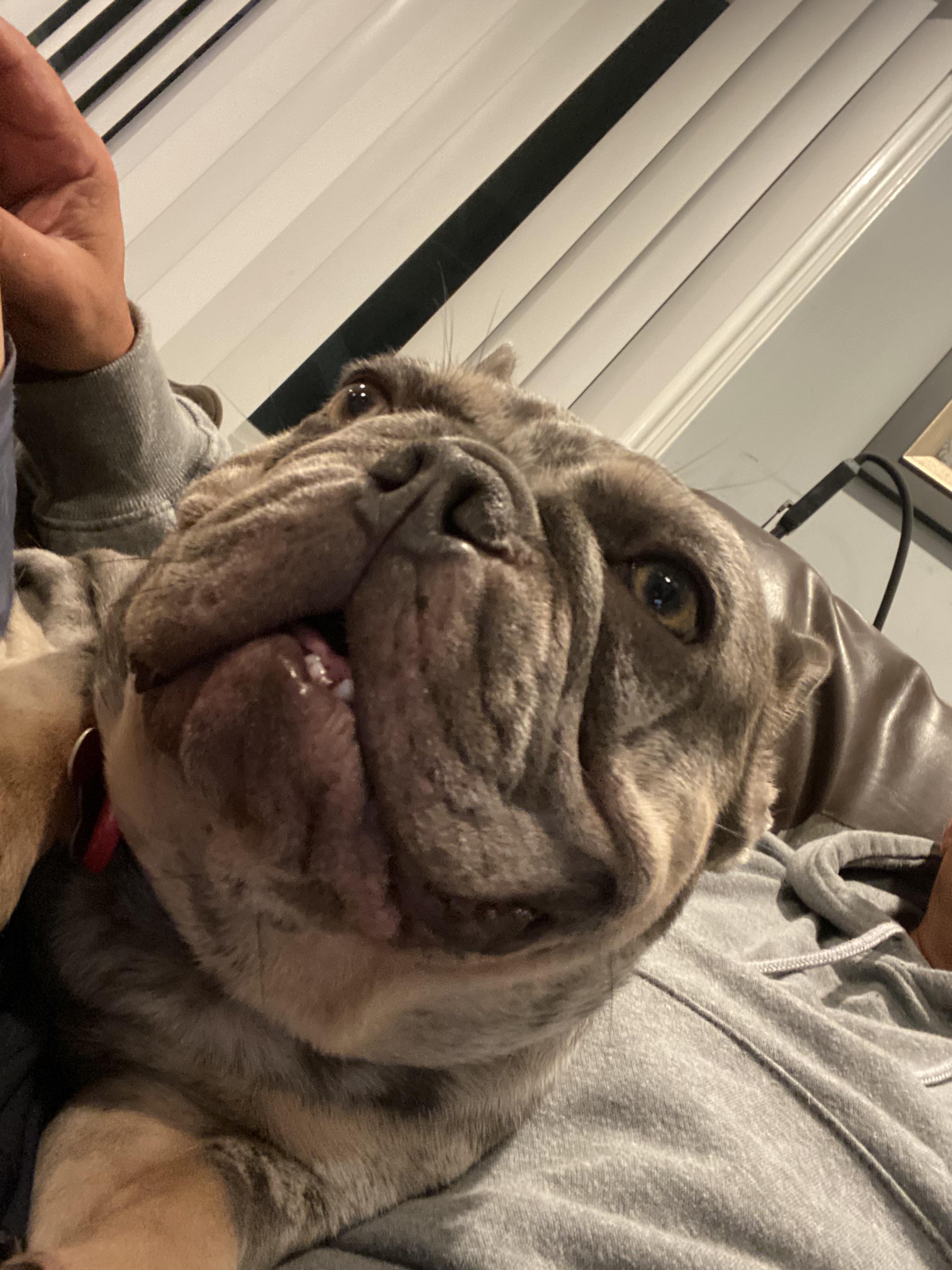 My TV partner | Scrolller