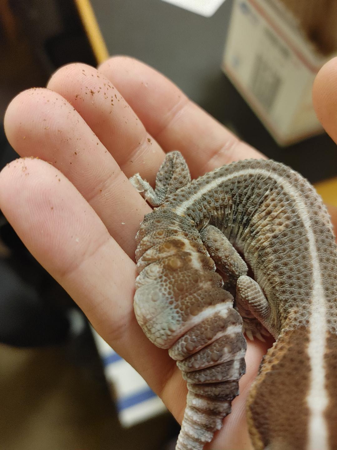 is this a problem? | Scrolller