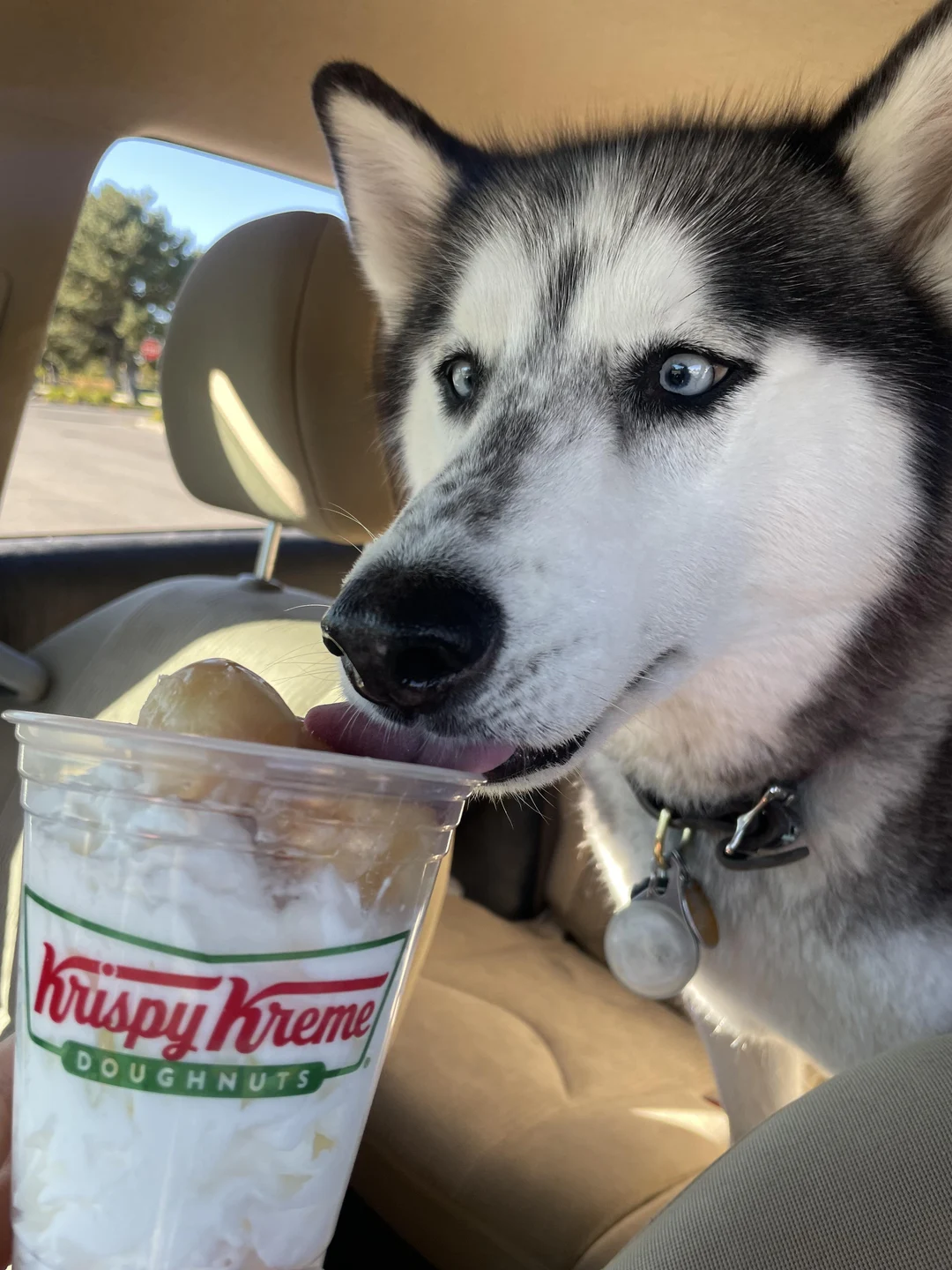 Krispy Kreme hooked it up! | Scrolller