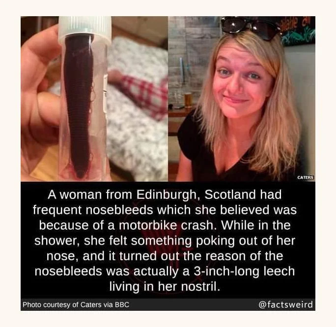 Jard nope. | Scrolller