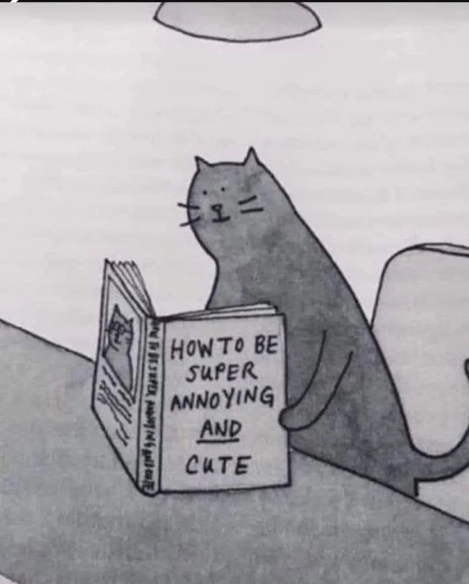 The perfect instruction manual!! | Scrolller