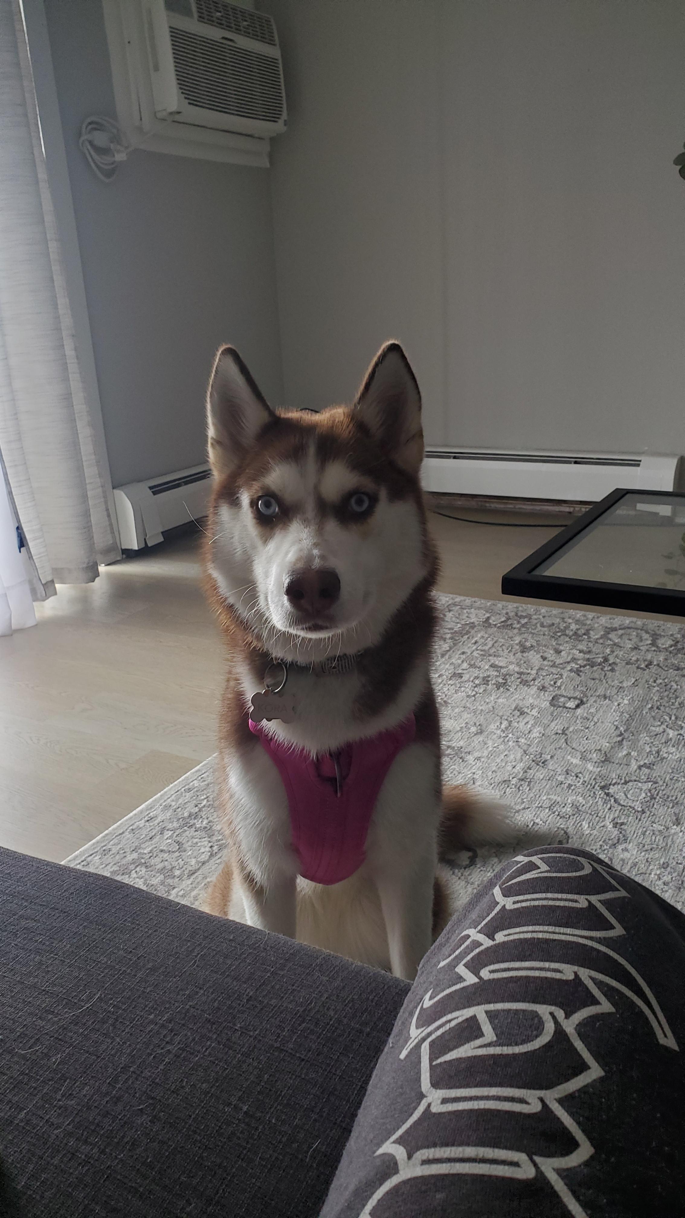 Bathroom button | Scrolller