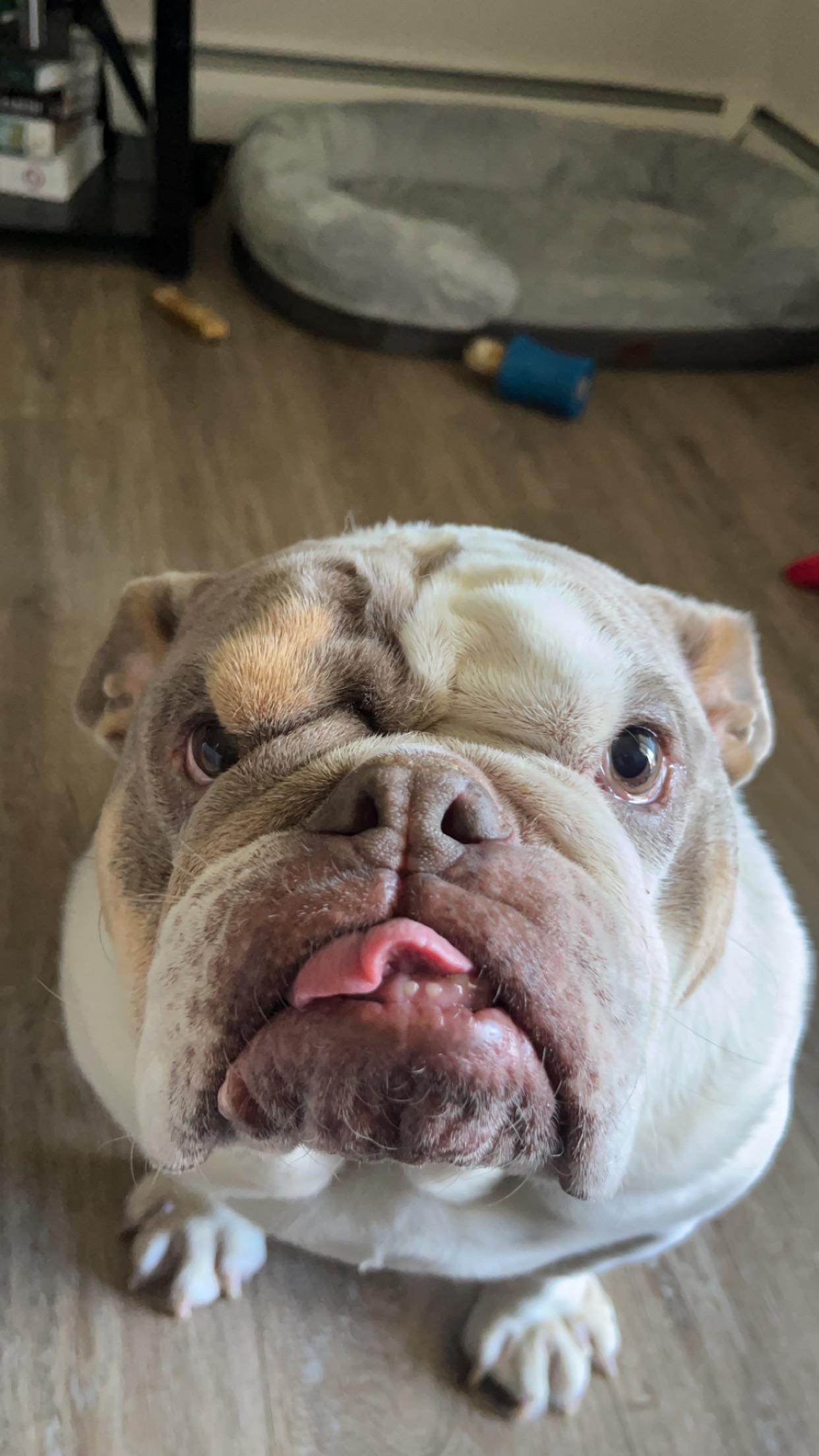 Butters! | Scrolller