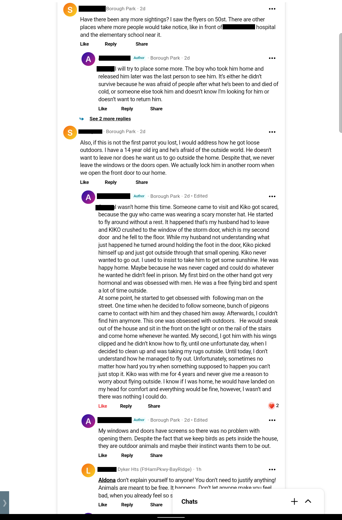 This woman lost her 3rd pet parrot since 2020. Did I say something wrong to her? | Scrolller