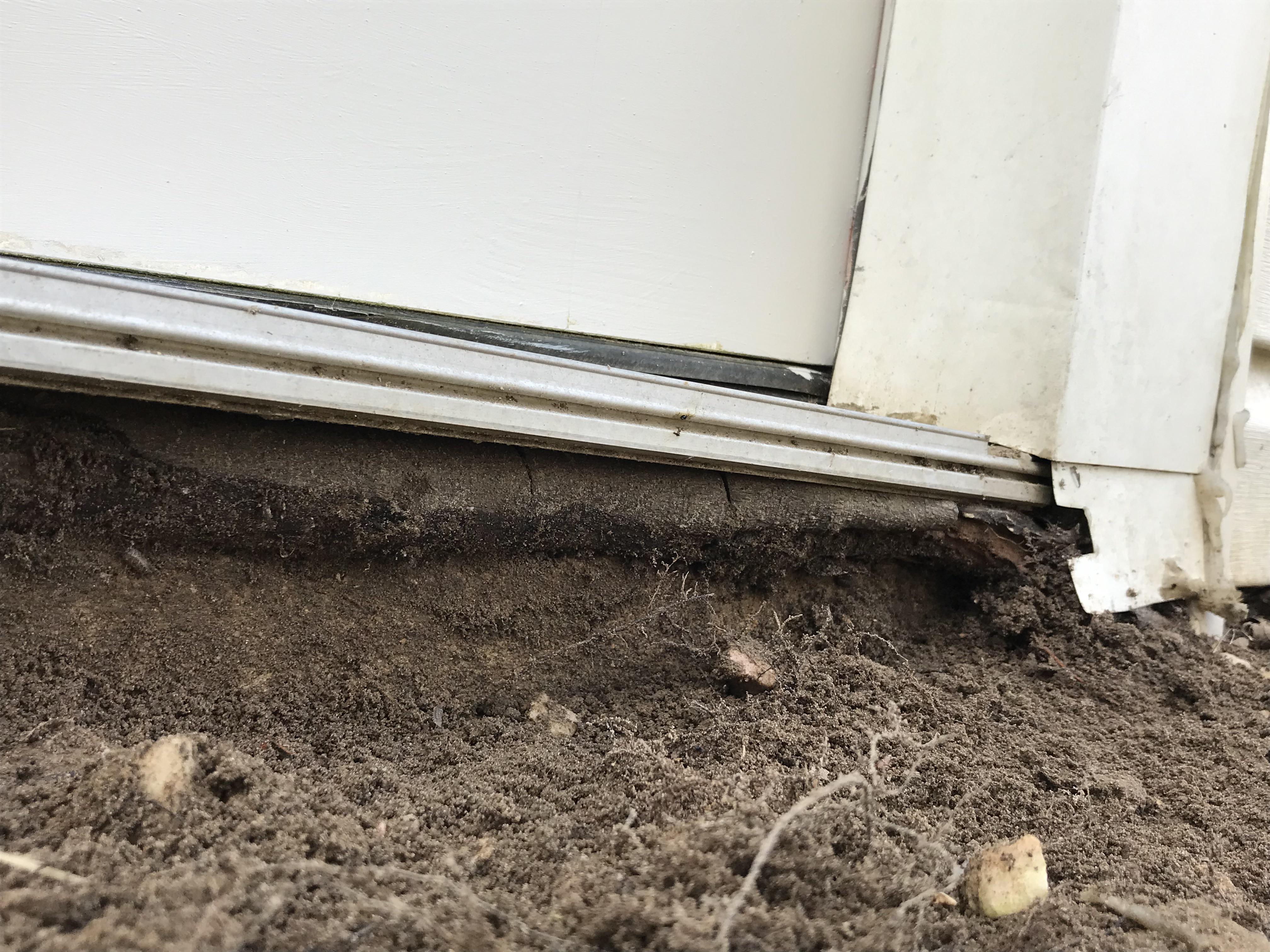 There is a root growing under my door😑 | Scrolller