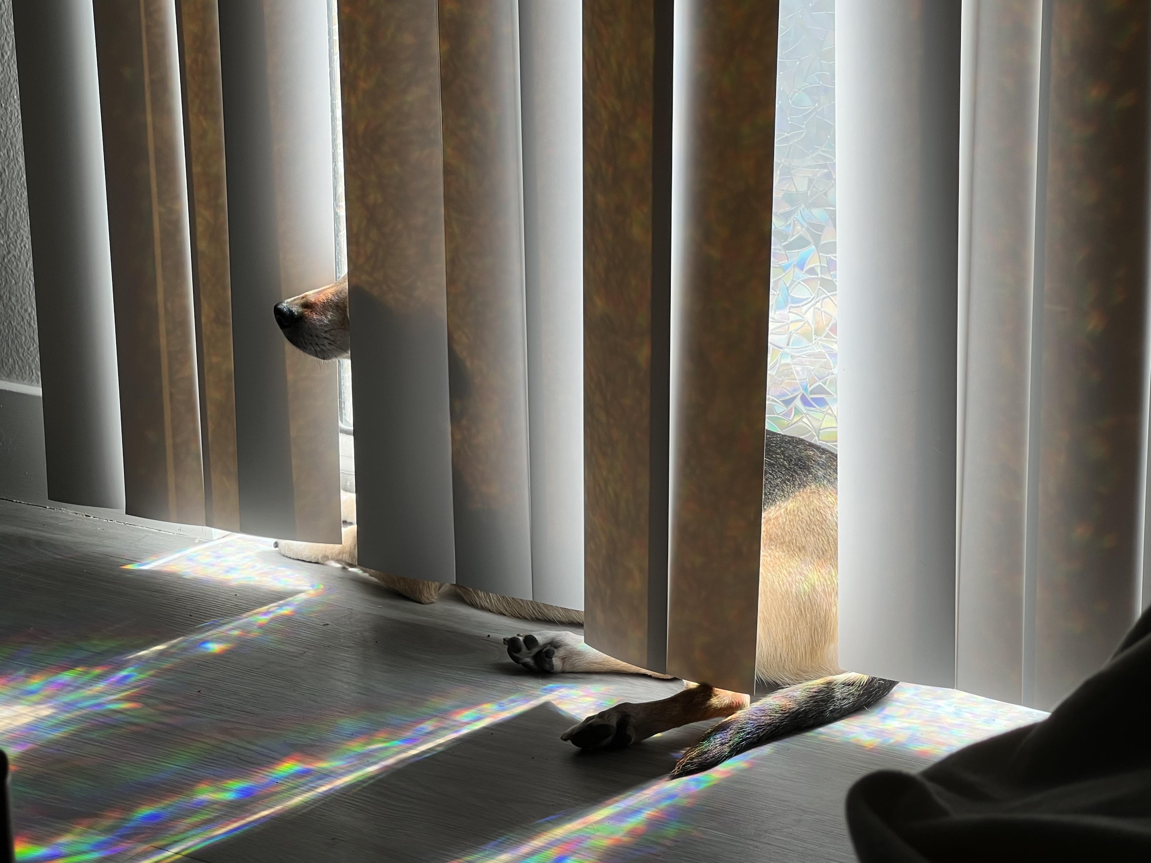 Discover more like Aww: She’s loving the sunshine [OC] and Related Content | Scrolller