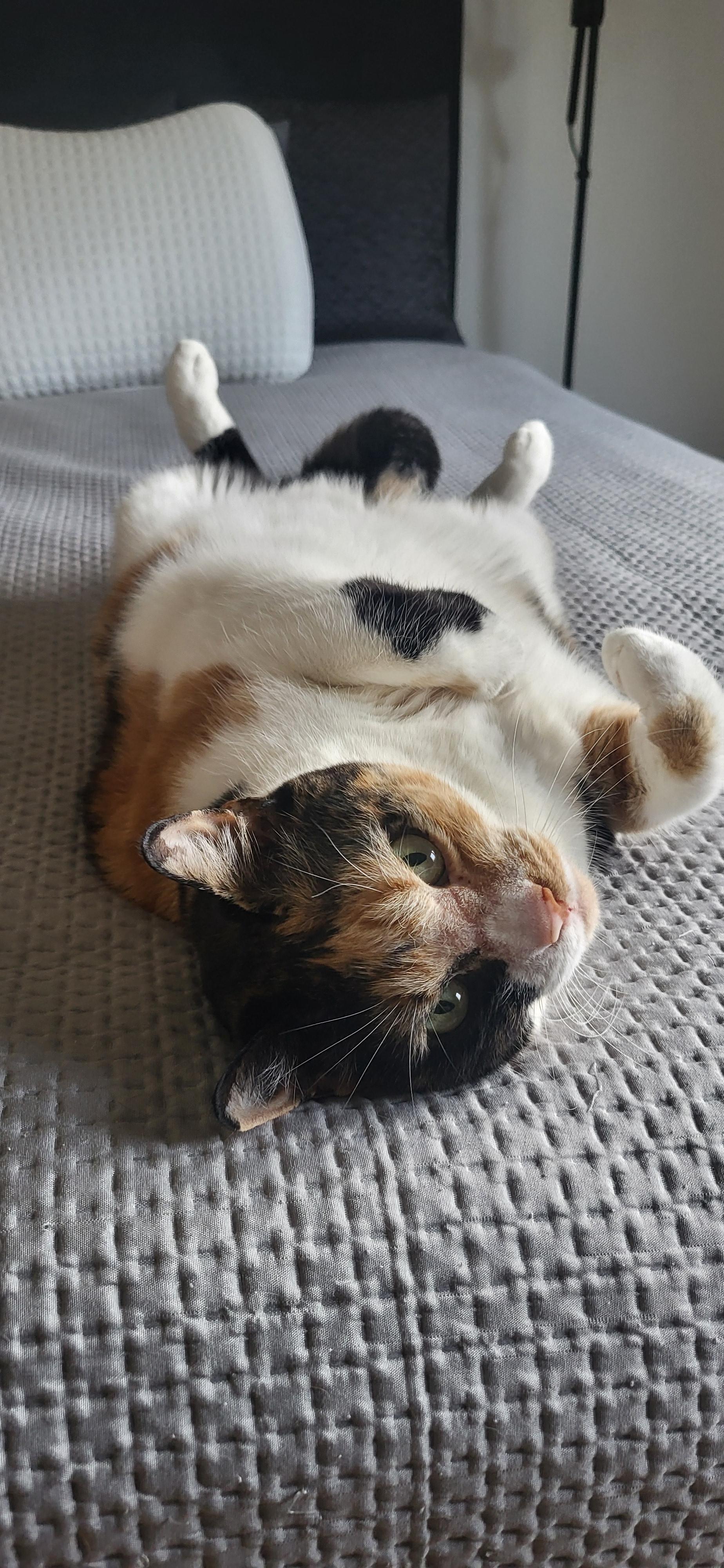 Swipe Picture To Wake Her Up Scrolller