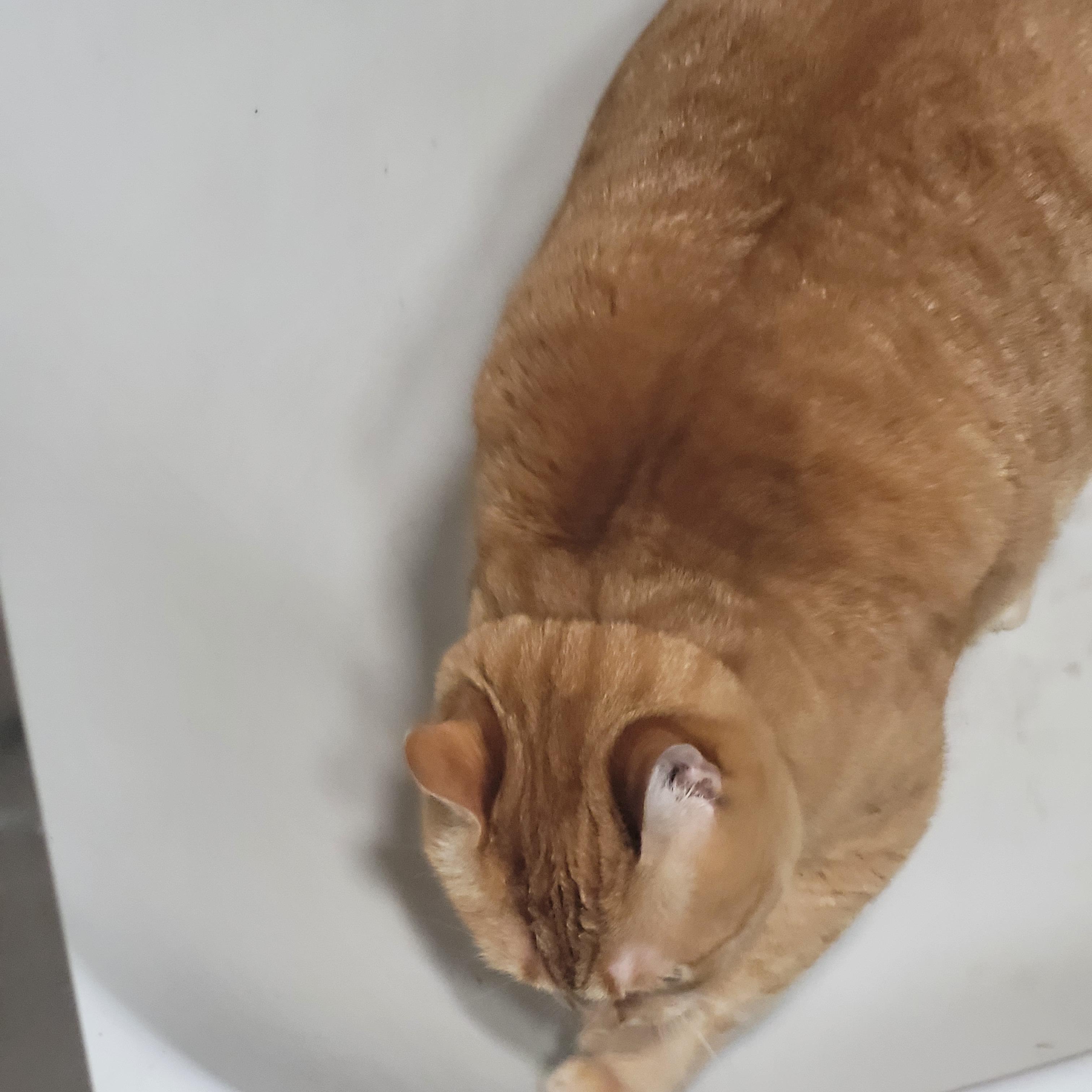 He doesn't even like baths! | Scrolller