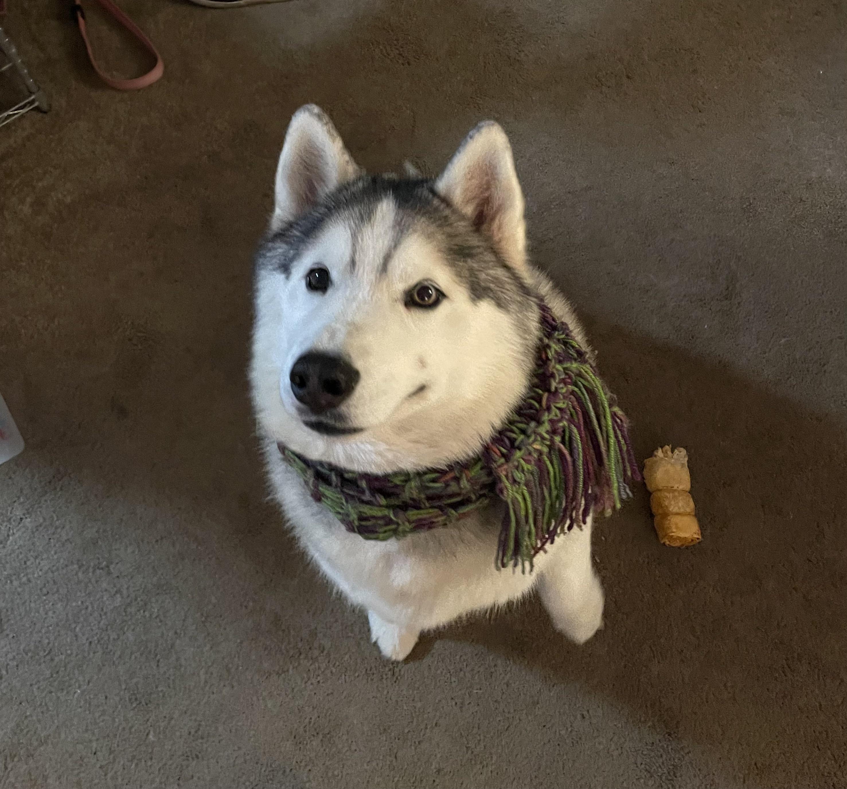 All Aboard The Hogwarts Express | Scrolller