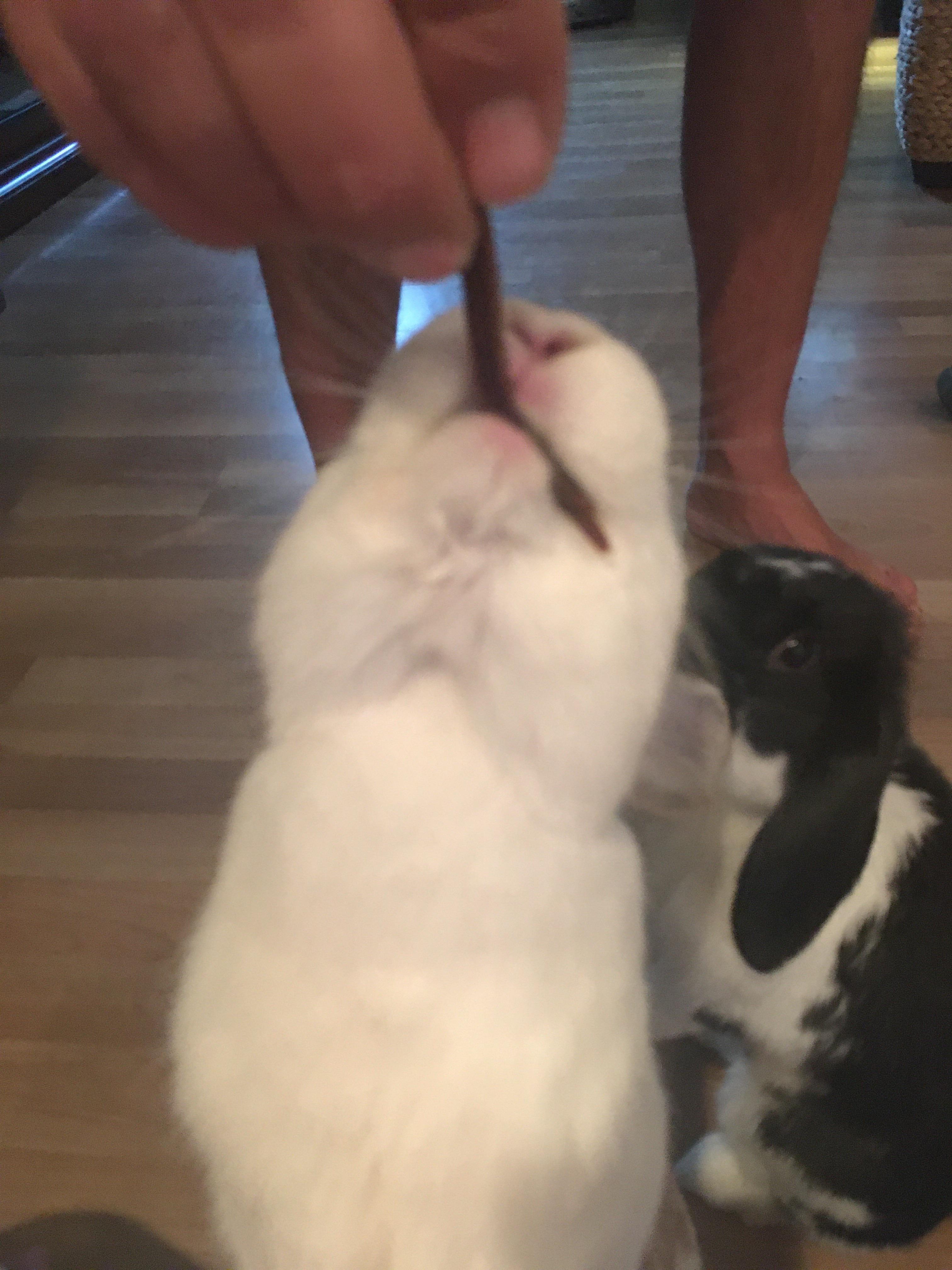 Daddy! Fruit Snacks! | Scrolller