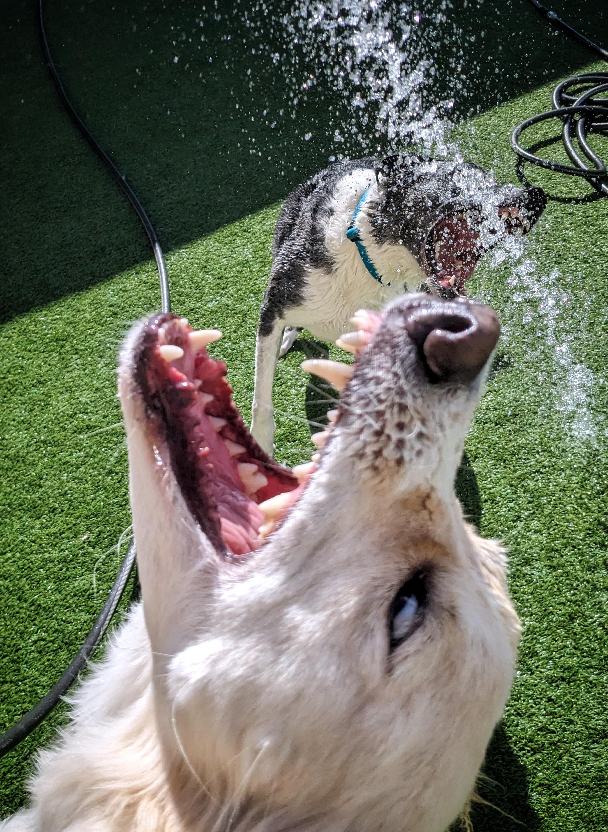 Today's Hose Fun | Scrolller