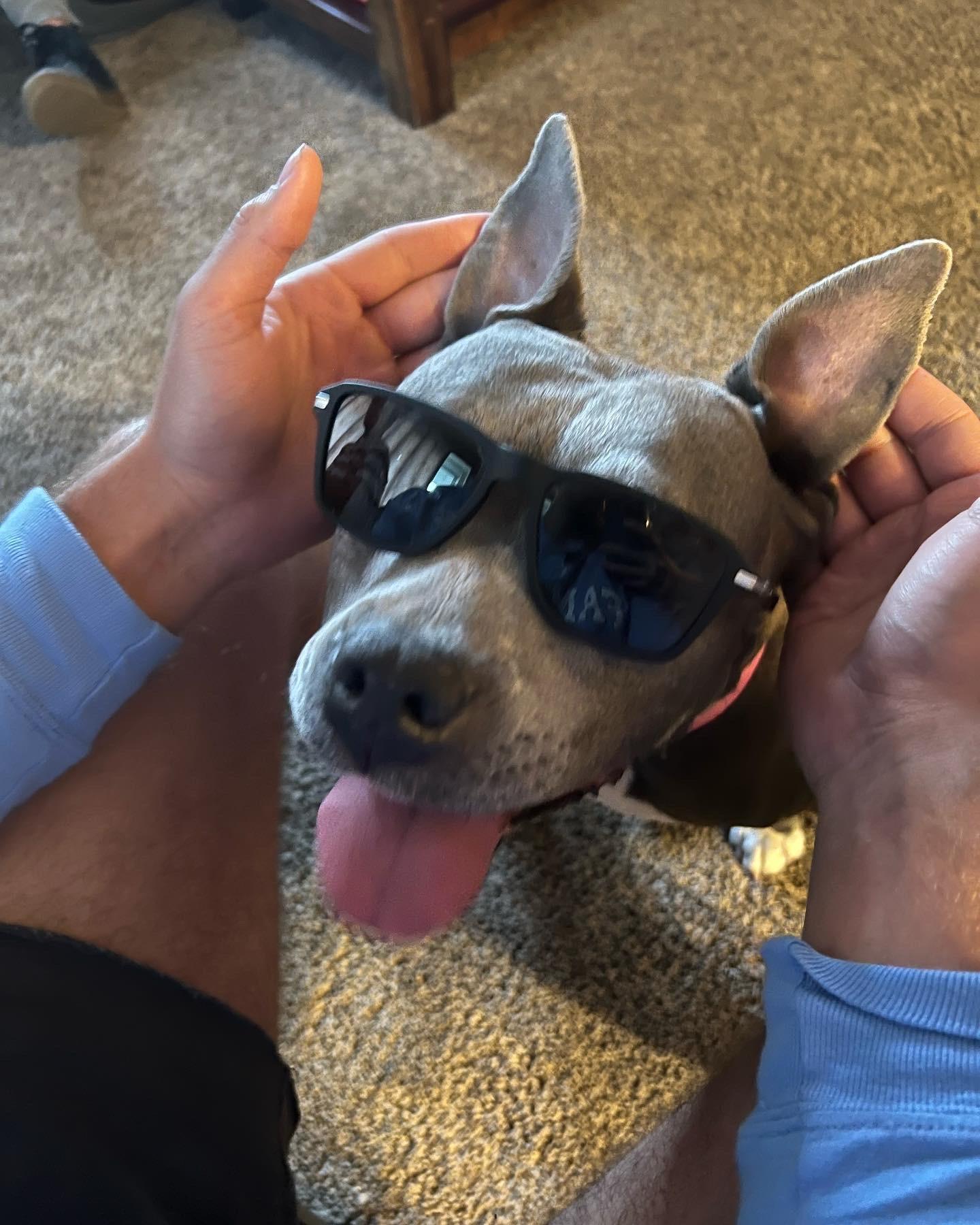 UPDATE PHOTOS: Peachy the rescue | Scrolller