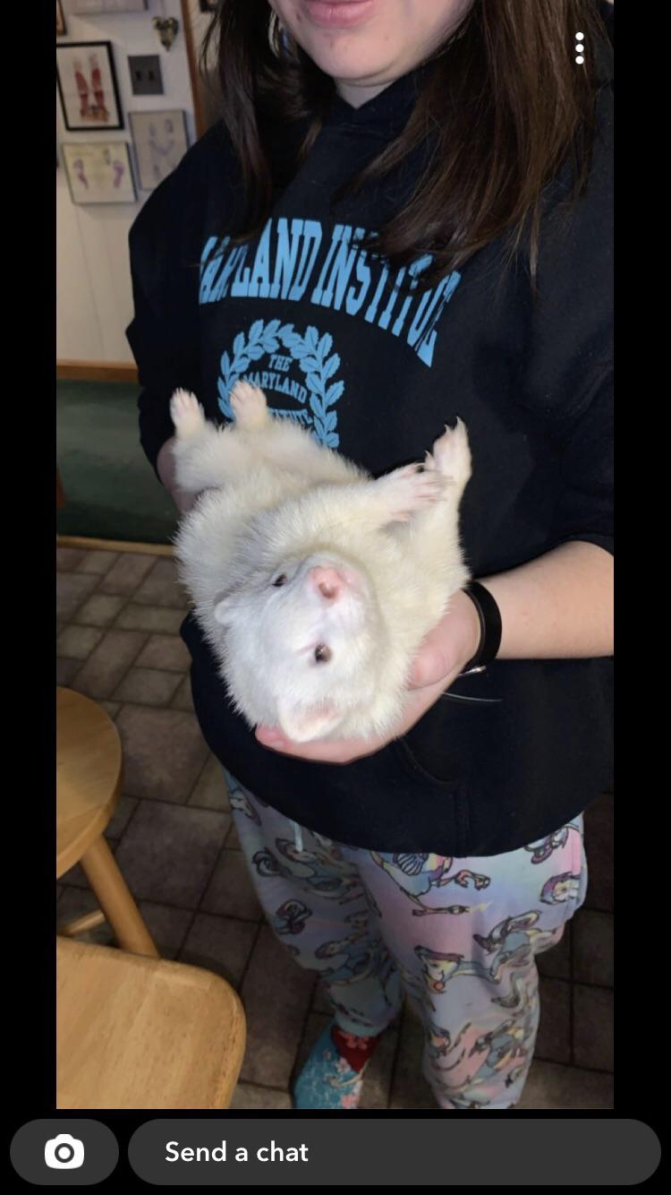 Happy Gotcha Day Boo! I’ve had him for 5 years today! 😁 | Scrolller