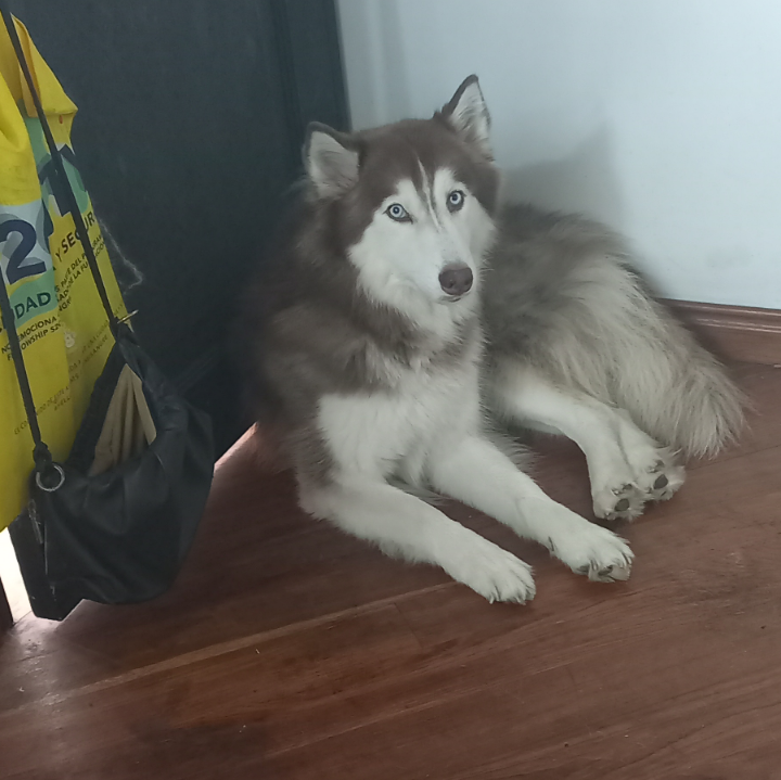 Is this normal?? | Scrolller