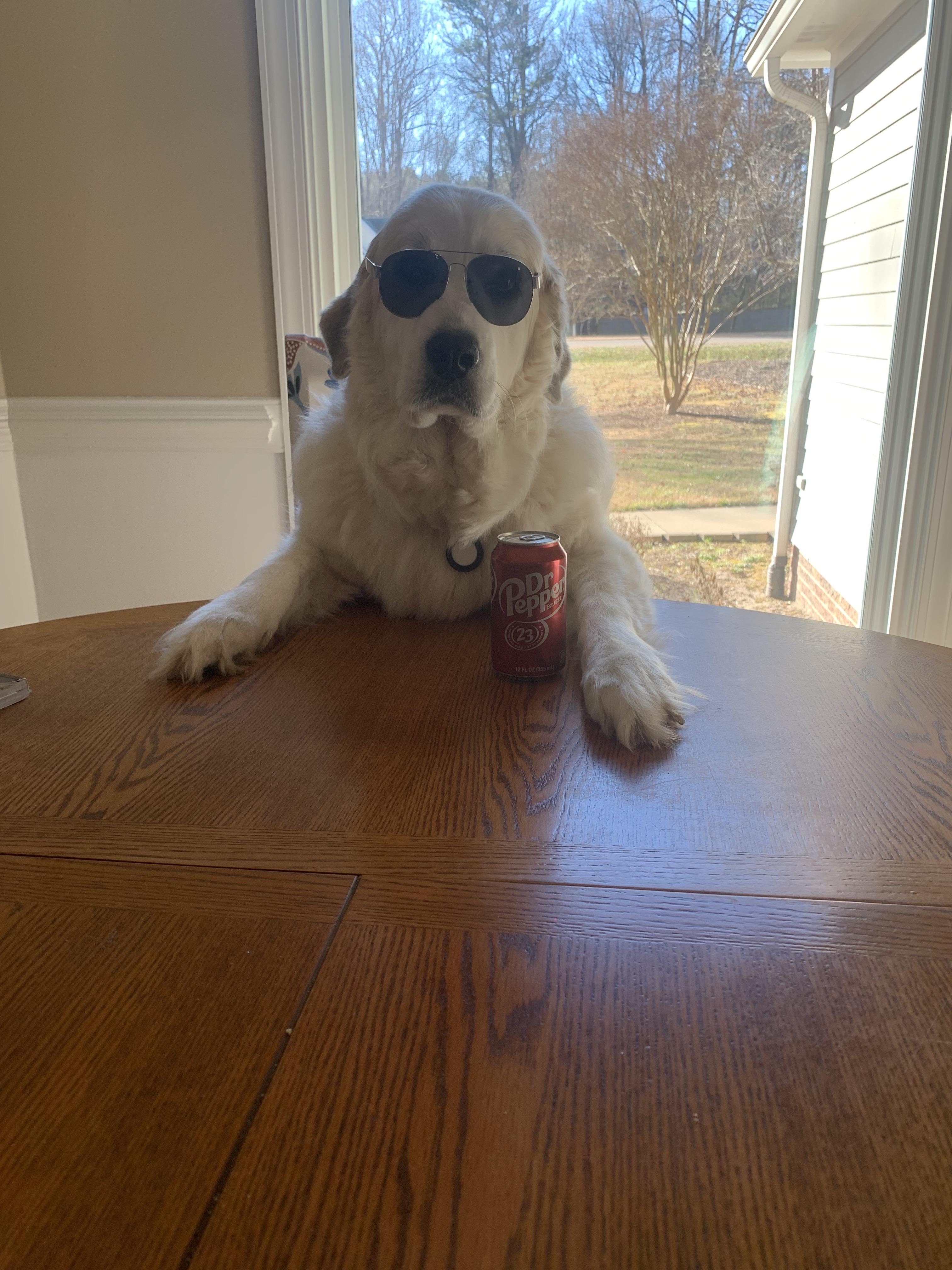 How do I tell her she is spoiled | Scrolller