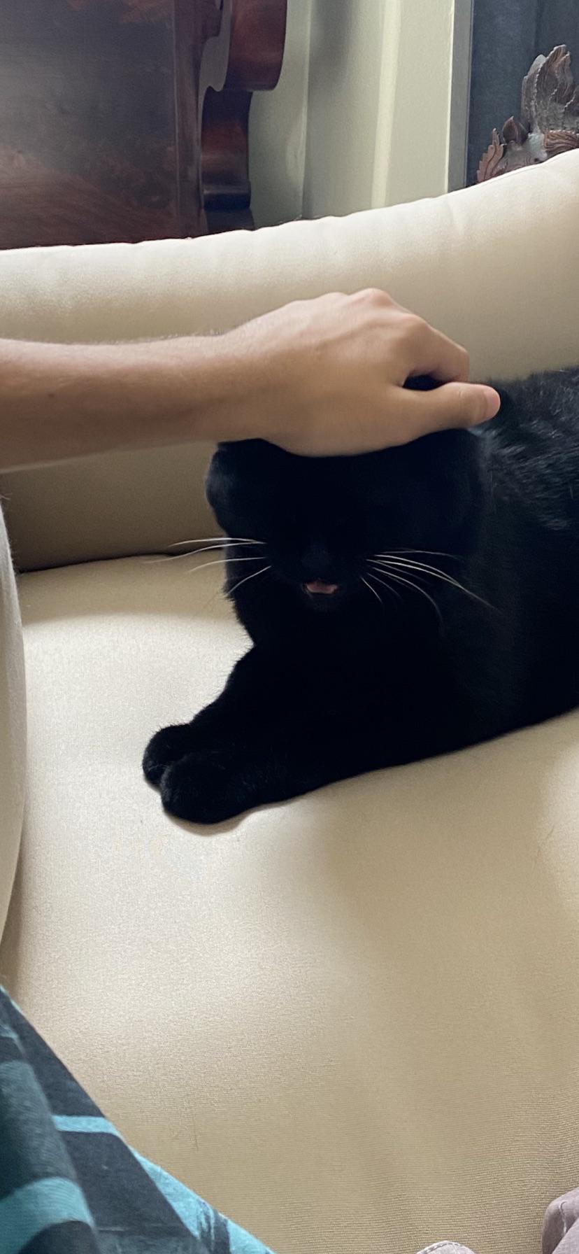 Pat the void gently | Scrolller