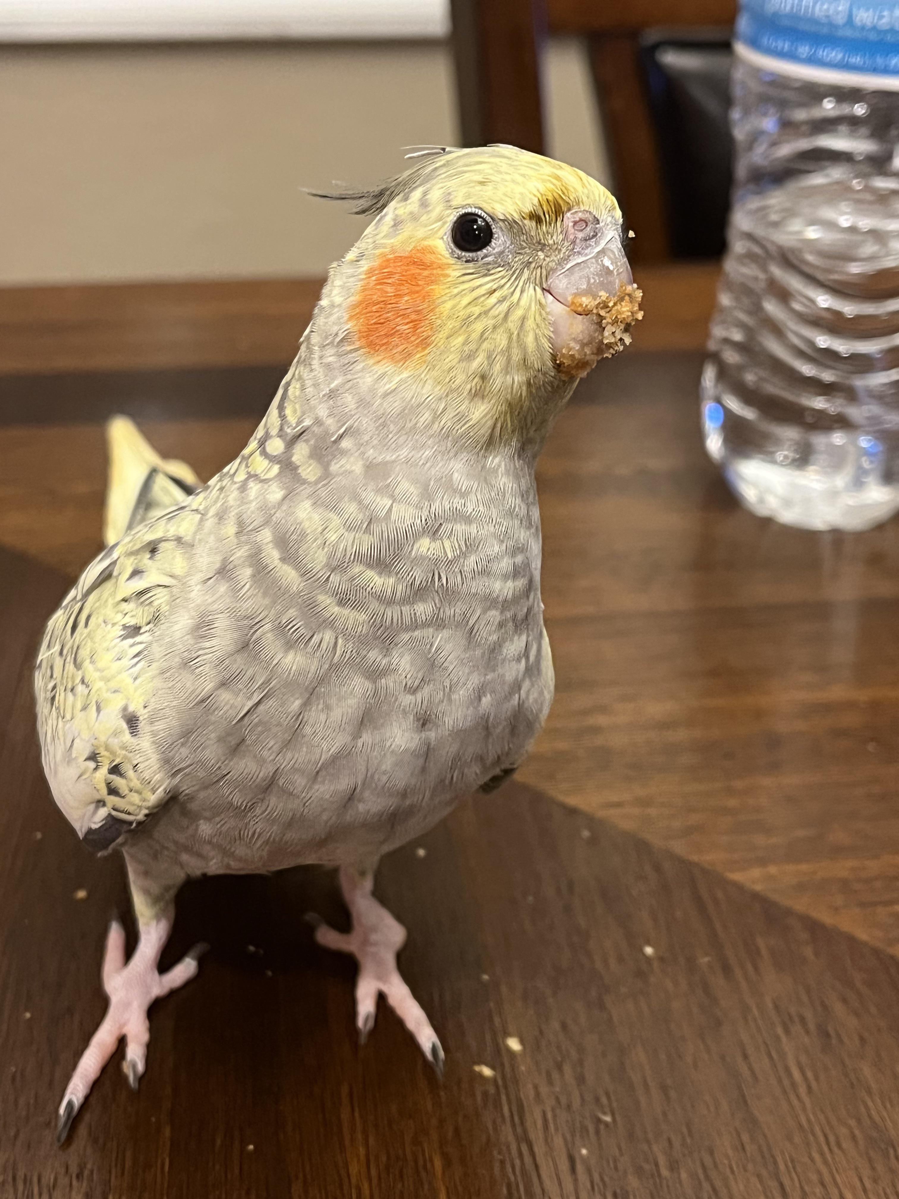 Jerry loves his carbs! | Scrolller