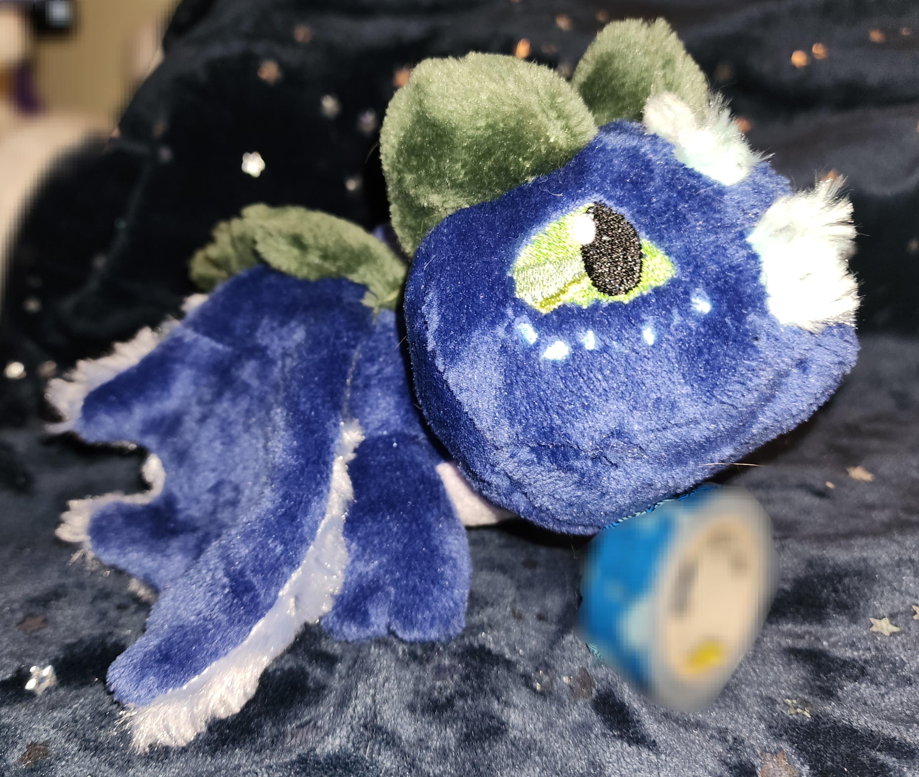 Another adorable Acorn plush! | Scrolller