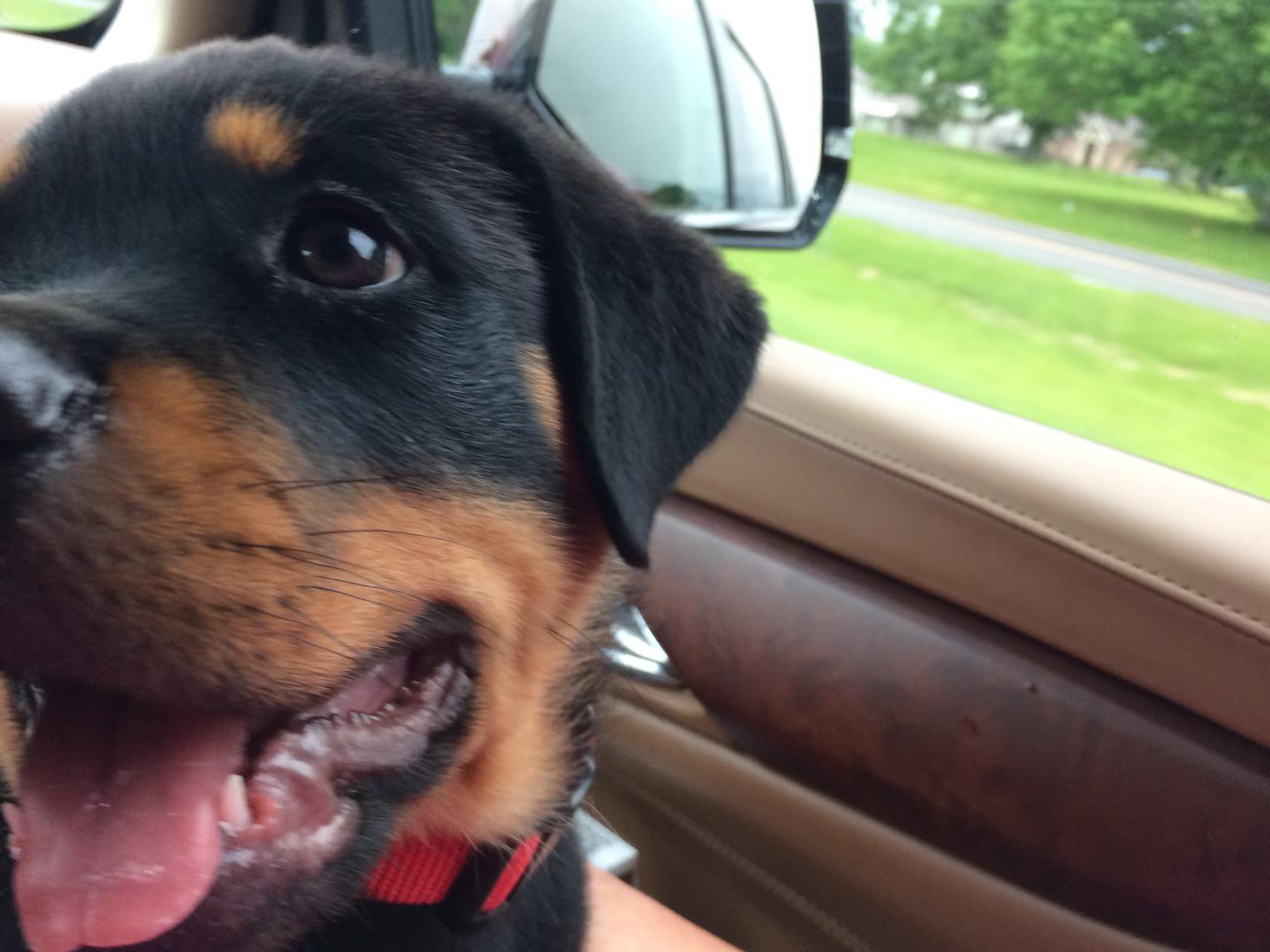 My sweet Lilah Lu!!!! | Scrolller