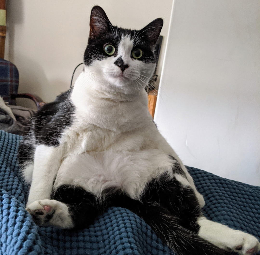 Always Wide Eyed | Scrolller