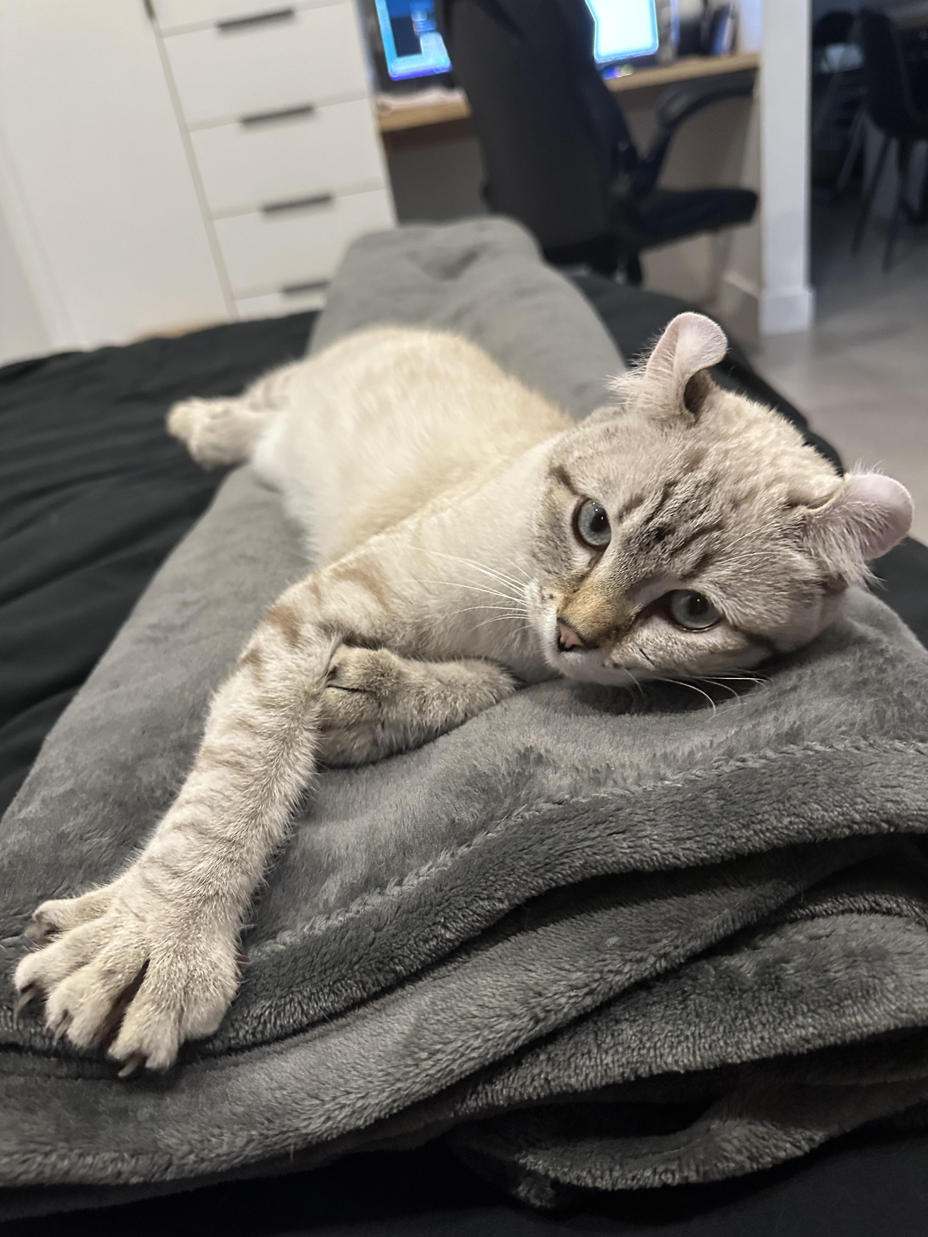 Hey killing claws 😅 | Scrolller