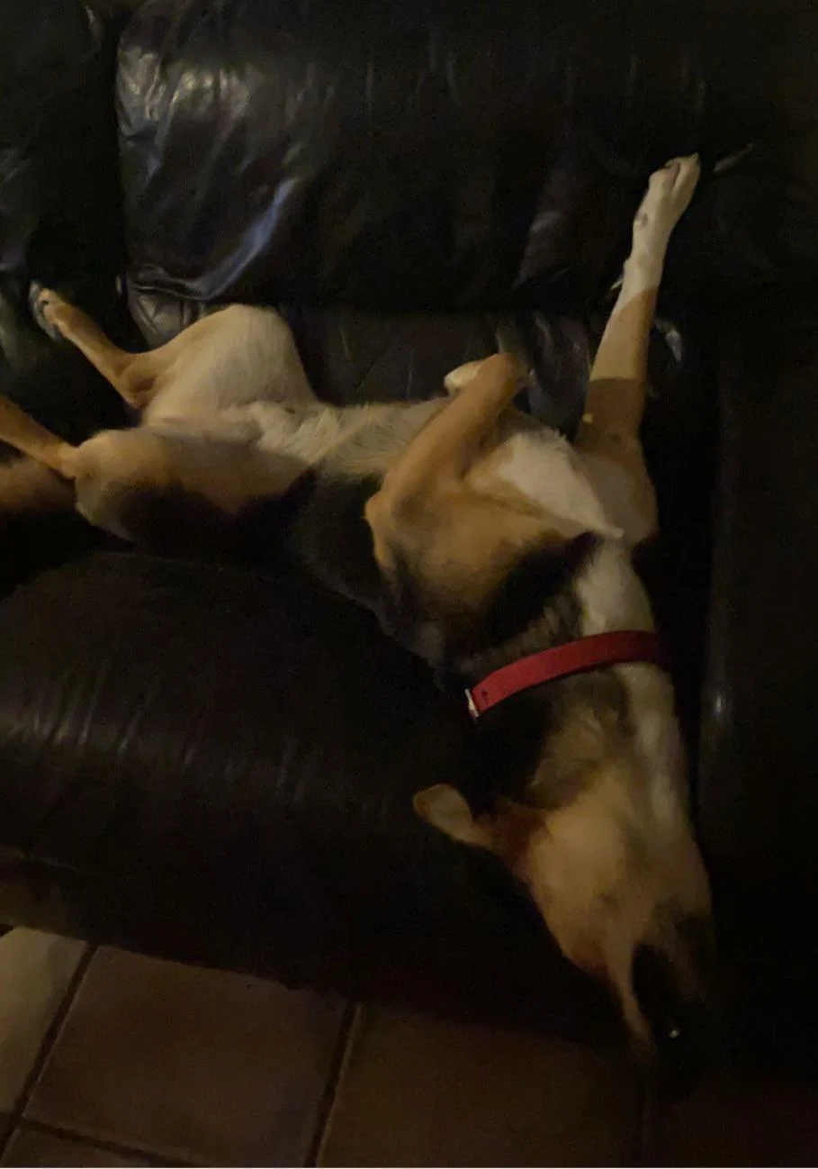 bit dramatic .. | Scrolller