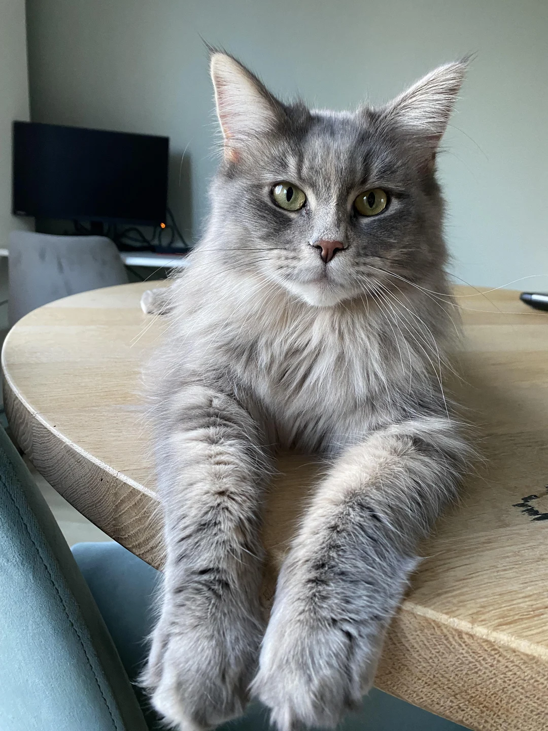 Fay may look sweet but she’s the naughty one | Scrolller