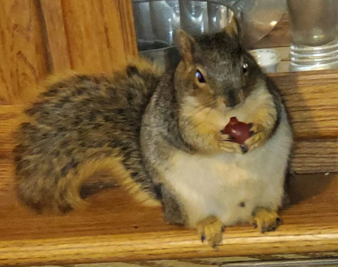 JB having a grape | Scrolller